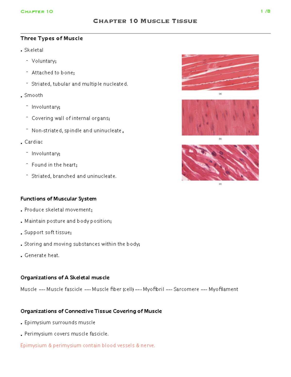 Chapter 10 Muscle Tissue and Functions - Studocu