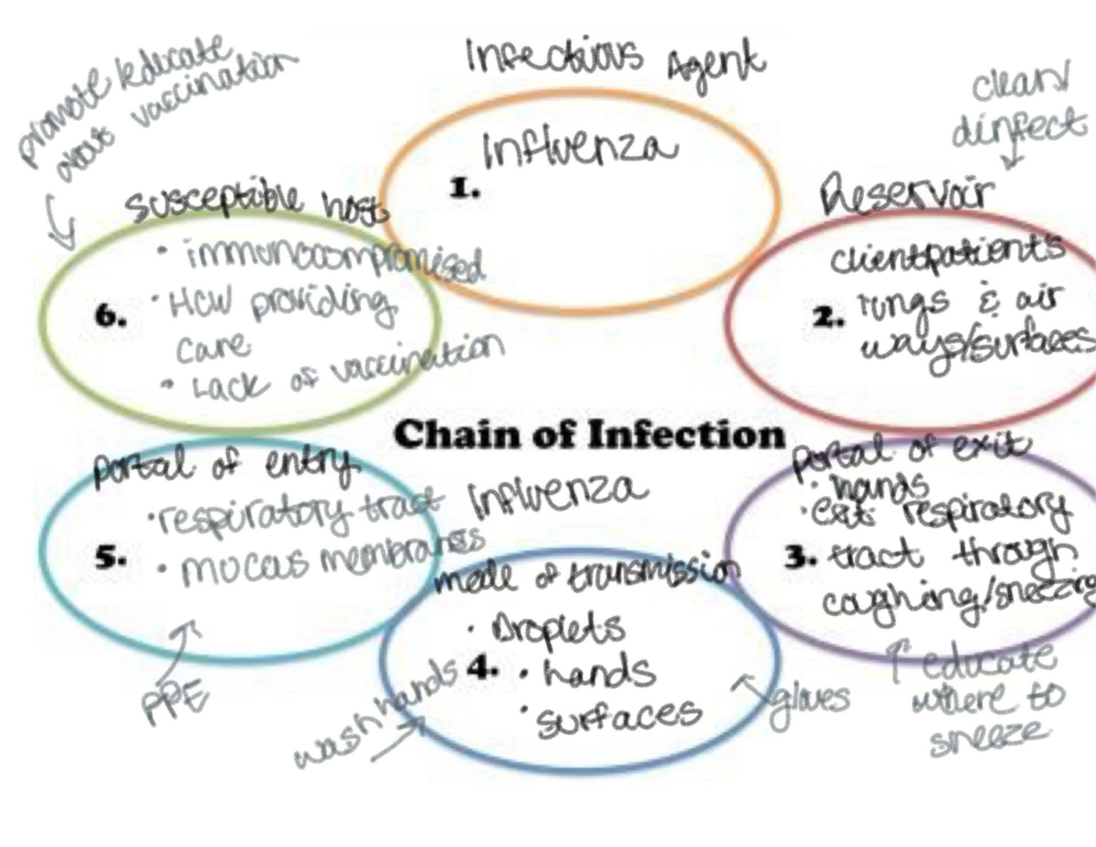 Chain of infection flu class concept map - NUR 215 - Infectious Agent ...
