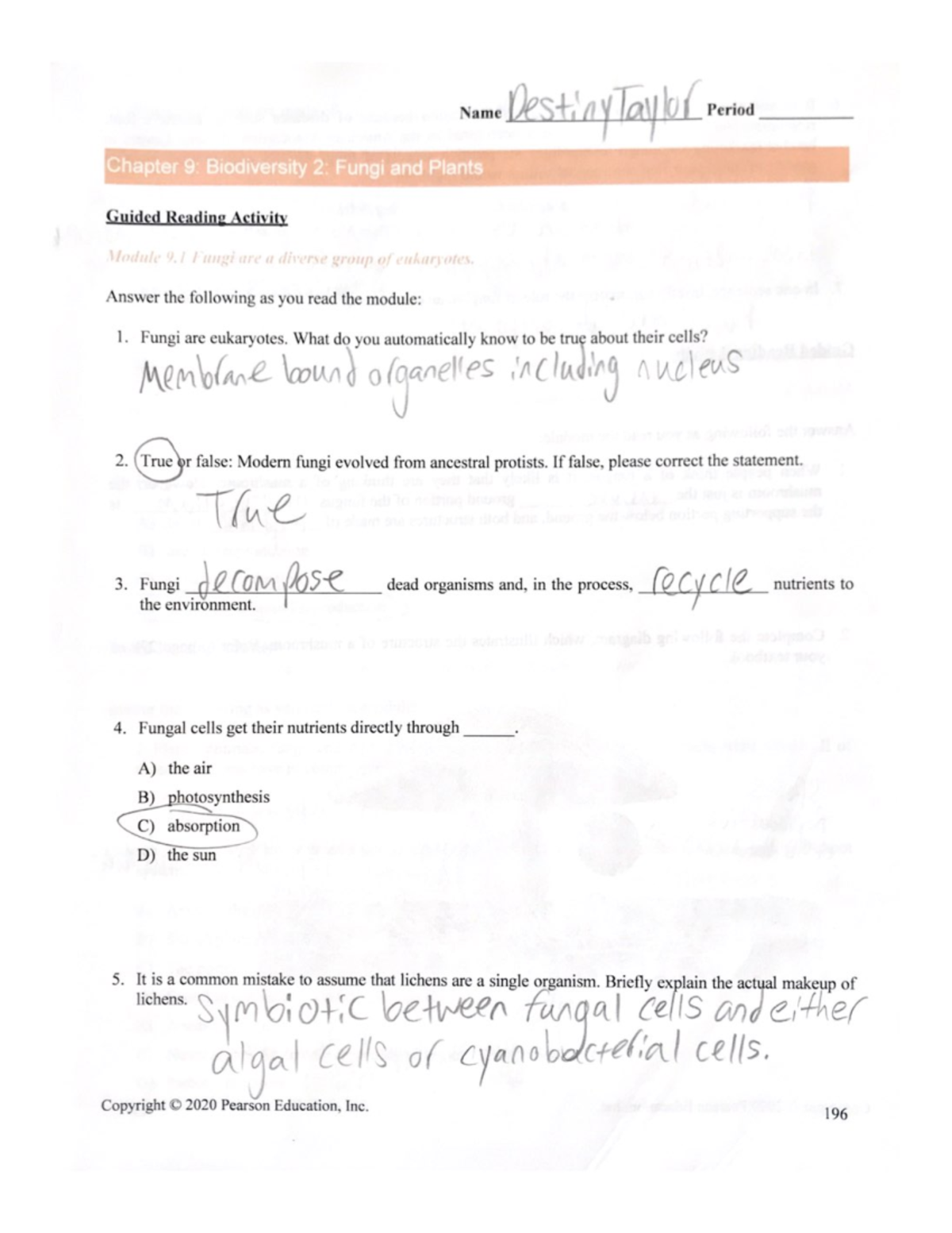 Chapter 9 Guided Reading Activity: Biodiversity 2 - Fungi & Plants ...