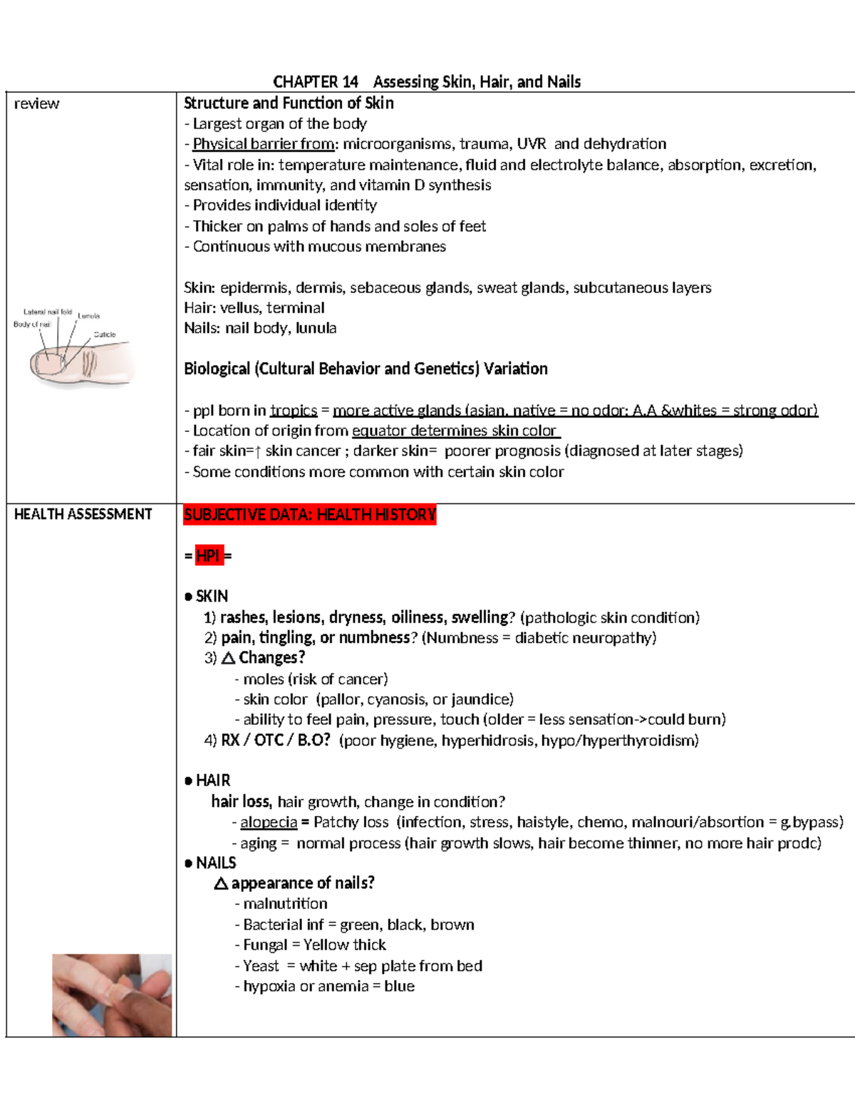 Chapter 14: Skin, Hair, and Nails Assessment Overview (Health Science ...