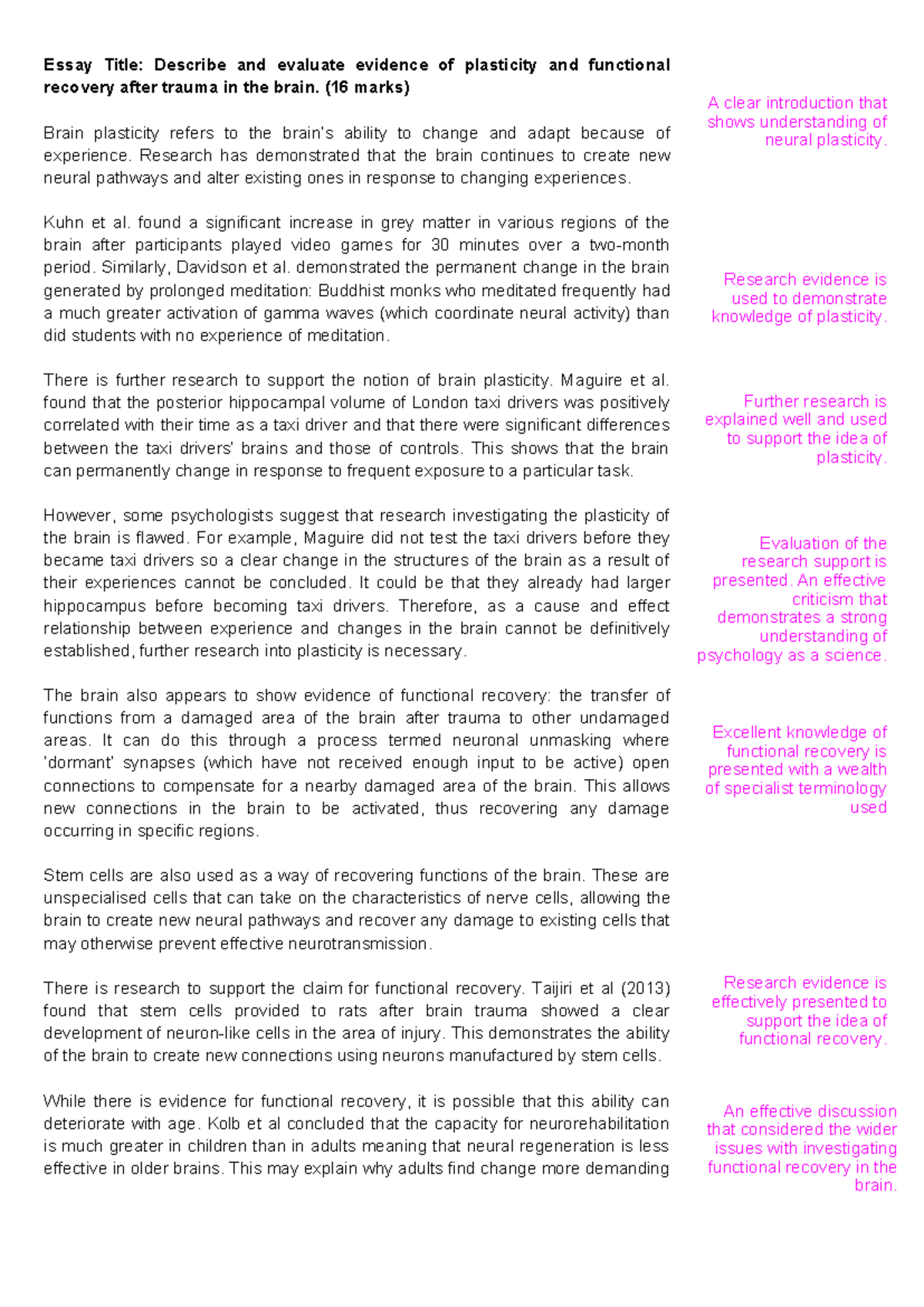 Evaluating Brain Plasticity and Functional Recovery Post-Trauma (PSY201 ...