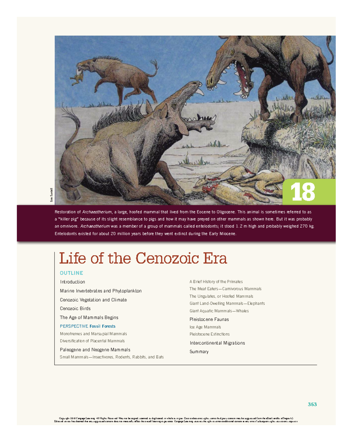 Cenozoic Era: Evolution of Mammals and Major Extinctions (BSCI 305 ...