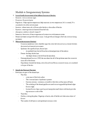 Bell ringer exam - Bell Ringer Exam 1. Muscles of facial expression 2 ...