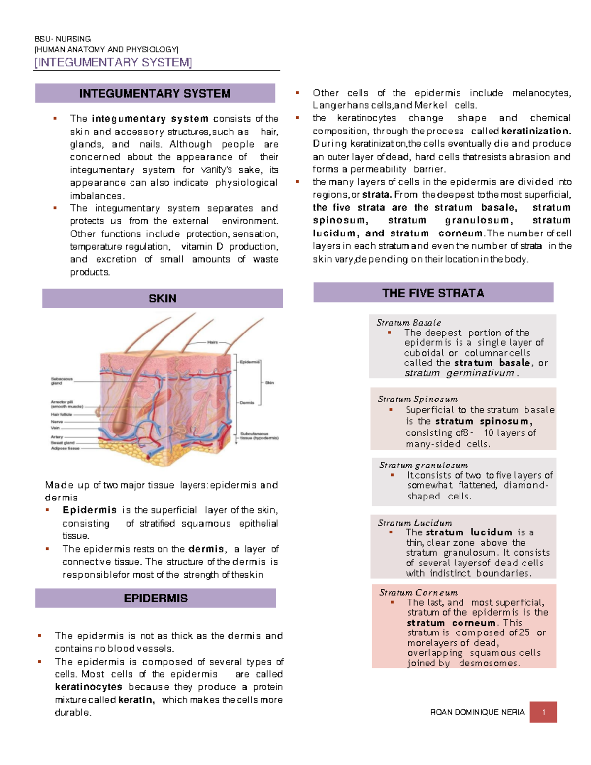 Module 5; Integumentary System Human Anatomy and Physiology - ROAN ...