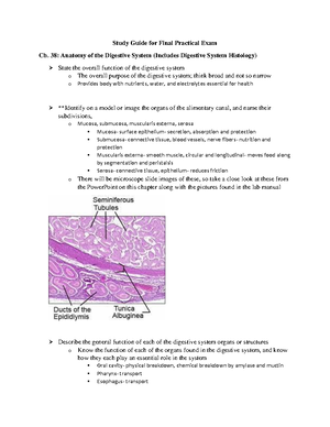 Exam 3 Guide: Histology and Anatomy of Digestive and Urinary Systems ...