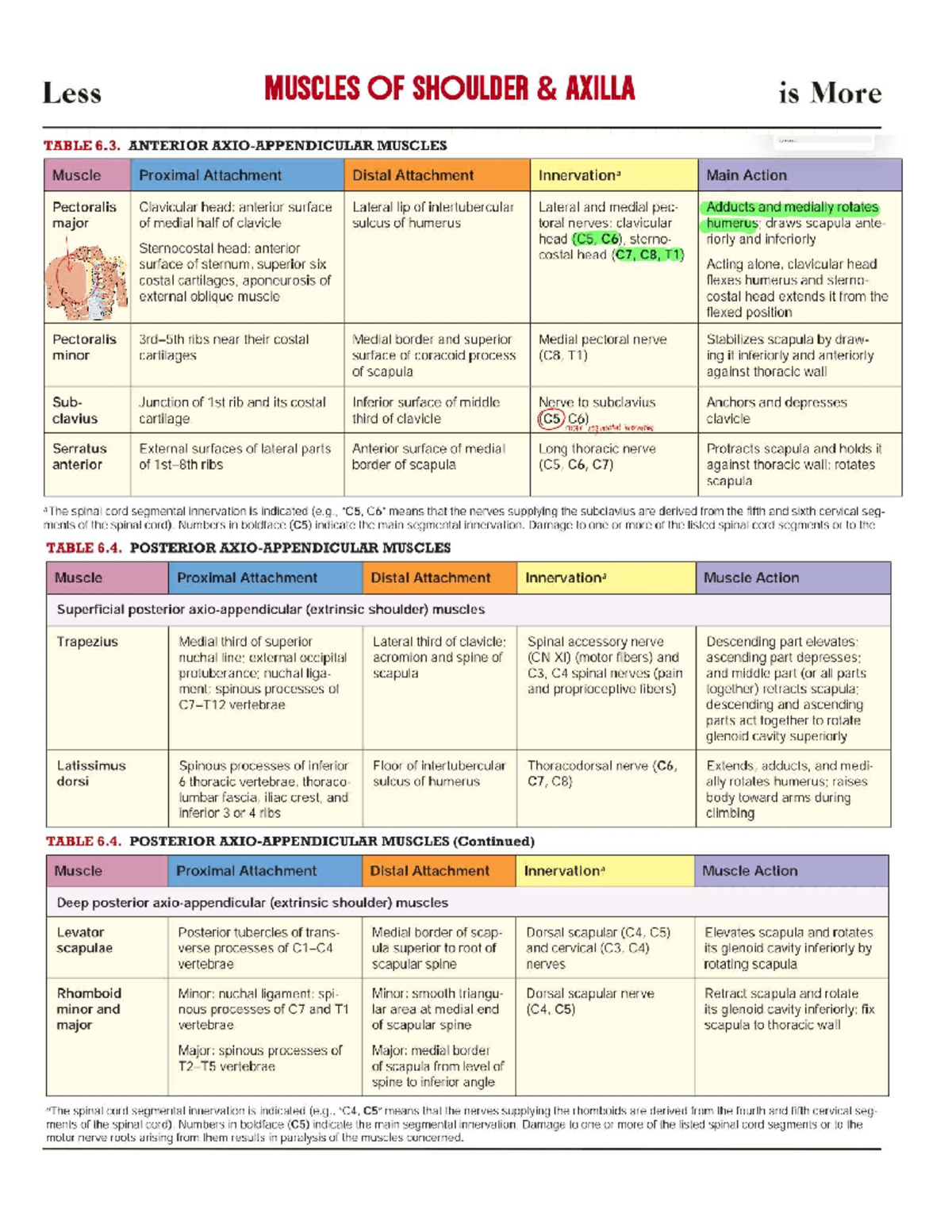 Upper Limb Anatomy Tables: MUSCLES, NERVES, & ARTERIES - Studocu