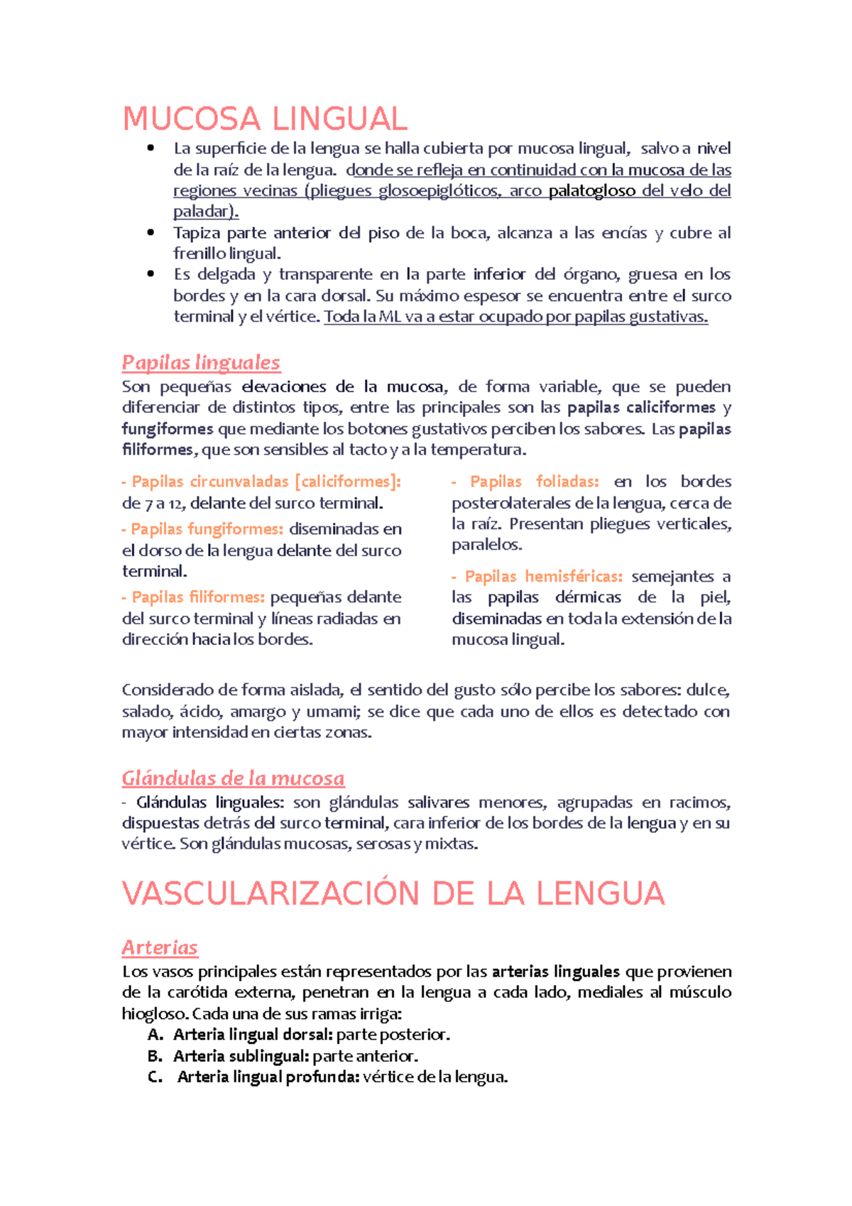 Arteria Lingual Hiogloso