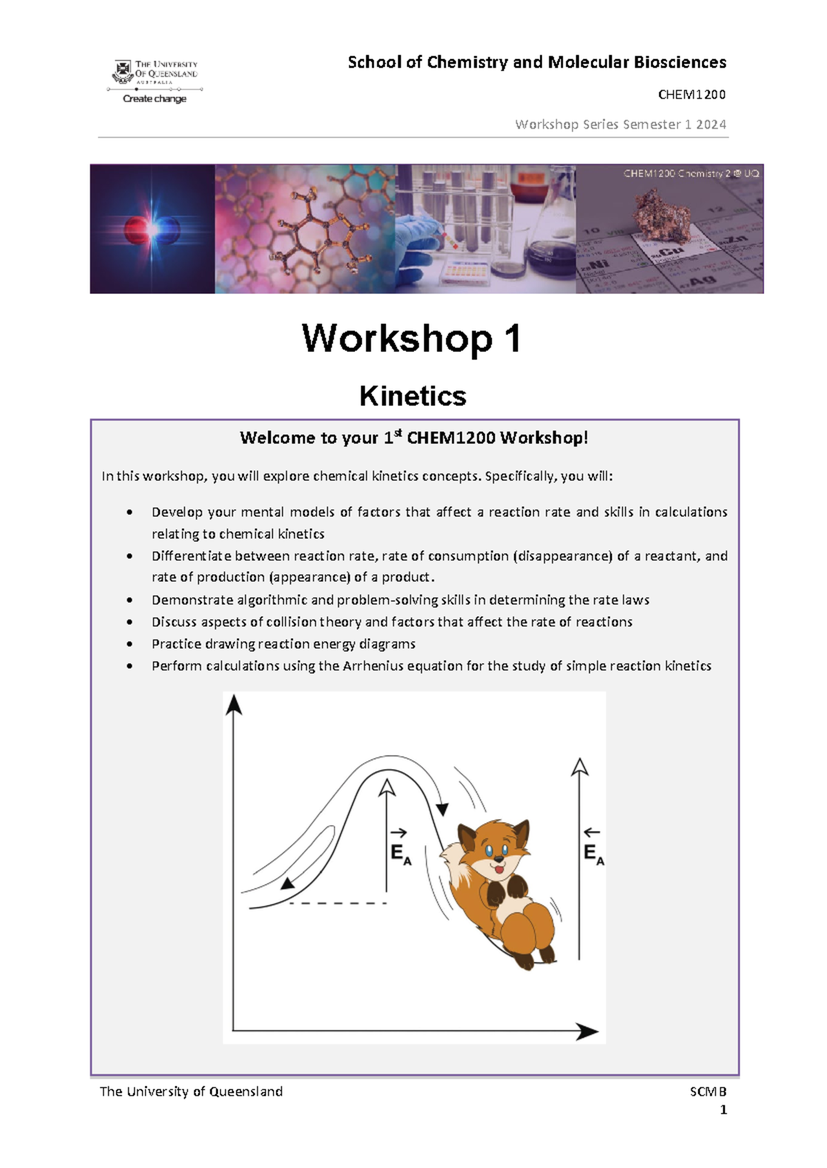 CHEM1200 Workshop 1 - Kinetics Overview and Tasks for Semester 1 2024 ...