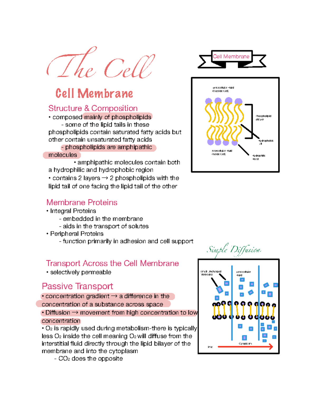 Chapter 3 Reading - The Cell and the Membrane - Principles of Human ...