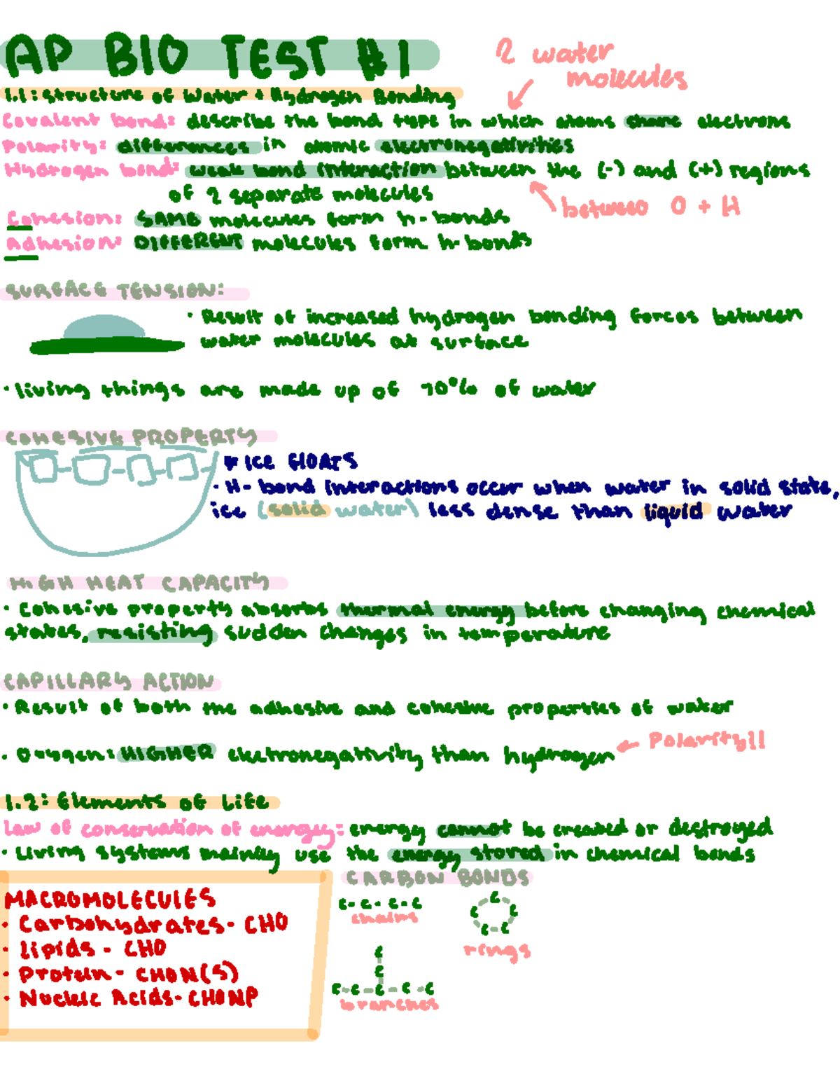 AP BIO TEST #2: Properties of Water Molecules and Bonding - Studocu
