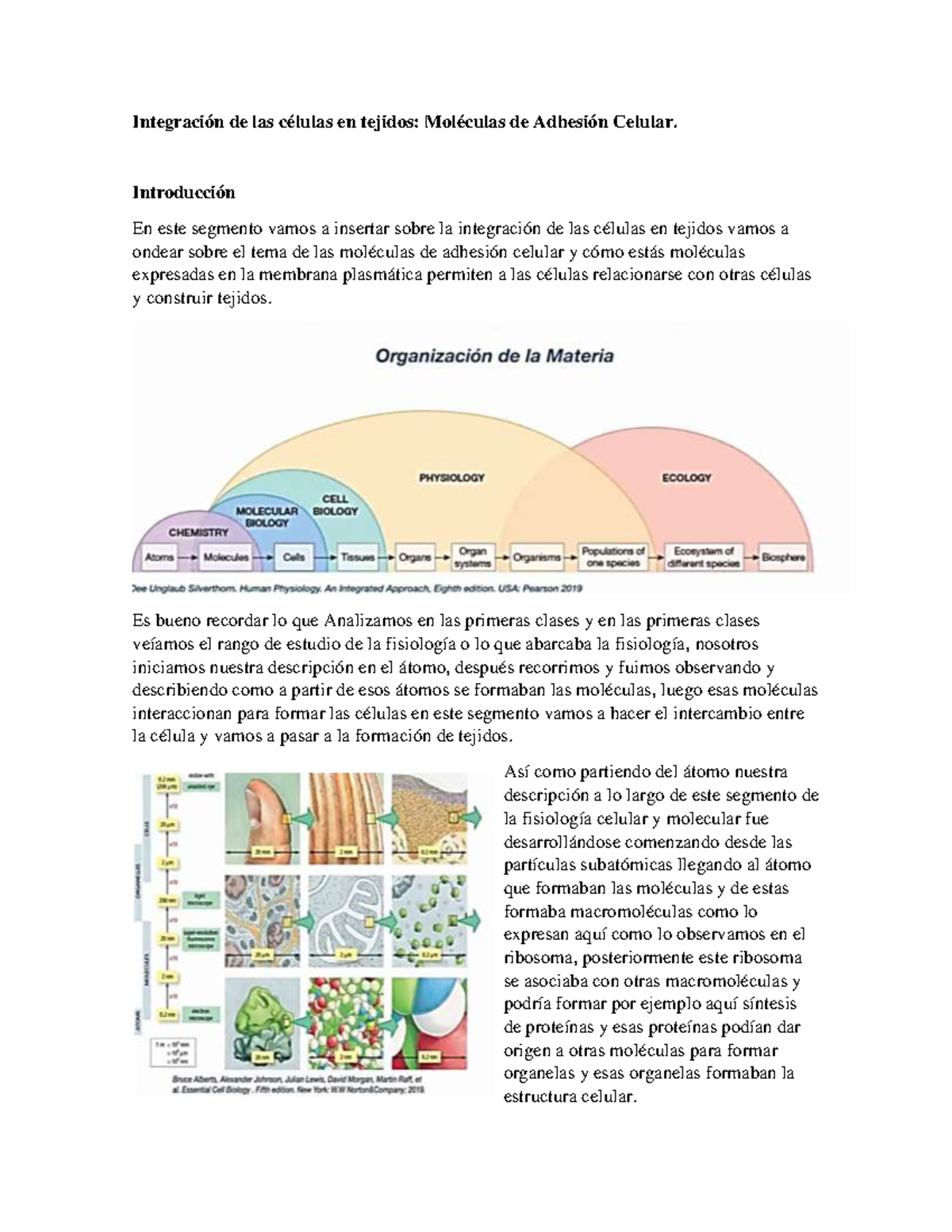 Tema 17 Integración de las células en tejidos Moleculas de Adhesion ...