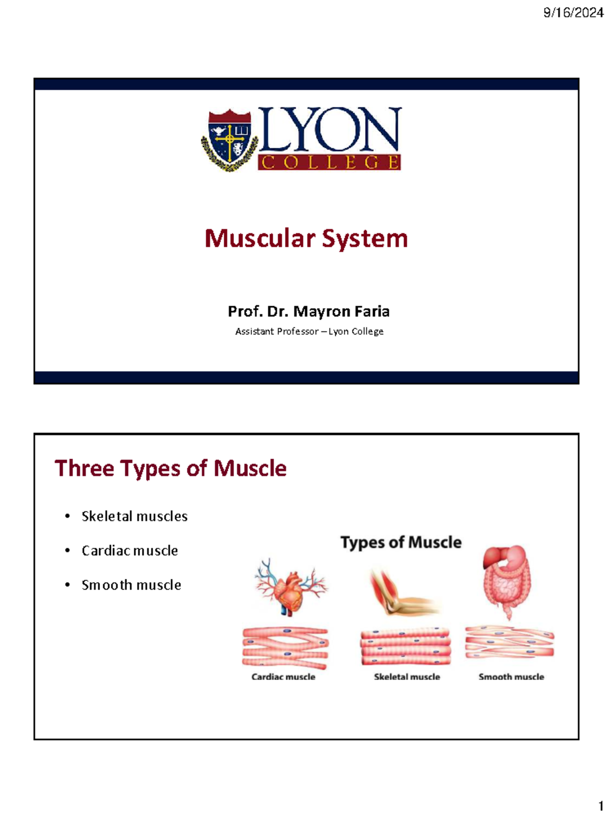 Muscle Anatomy and Function: A Comprehensive Guide (MUSC101) - Studocu