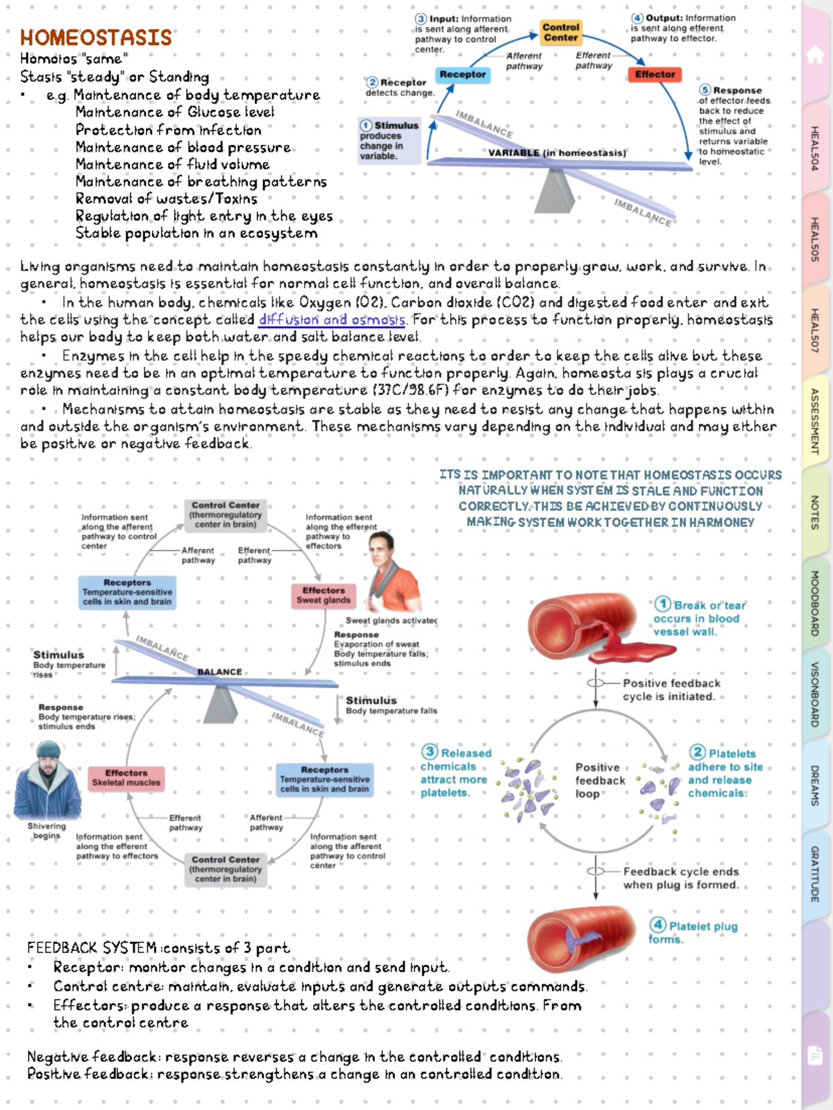 HEAL505 Week 1 Notes: Understanding Homeostasis Mechanisms - Studocu
