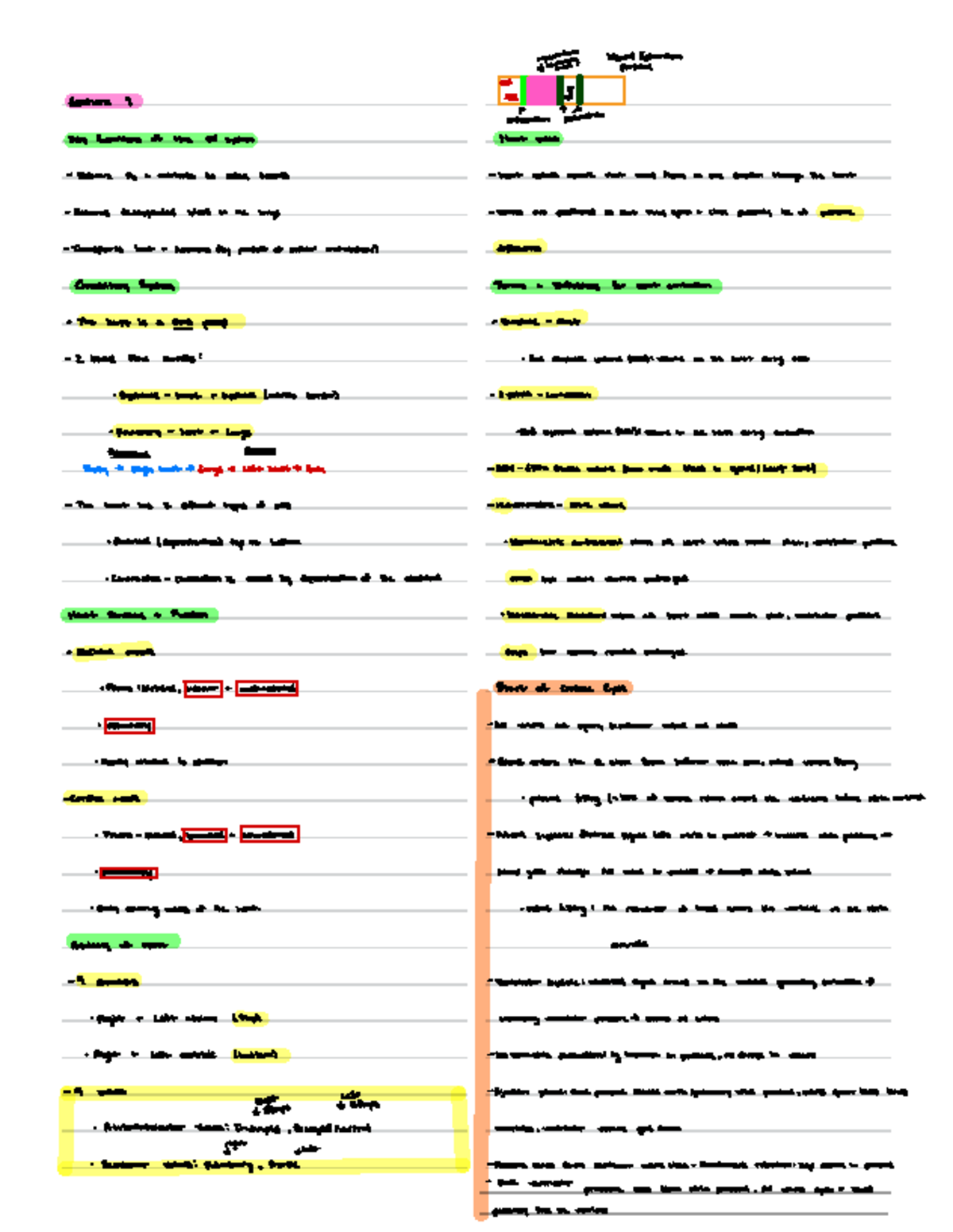 Cardiovascular System Lecture Notes: Anatomy and Function Overview ...