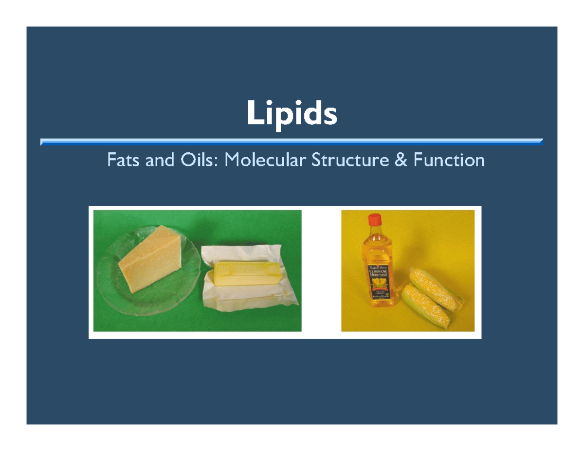 Lipids: Structure, Function, and Types in Biochemistry (BIO101 ...