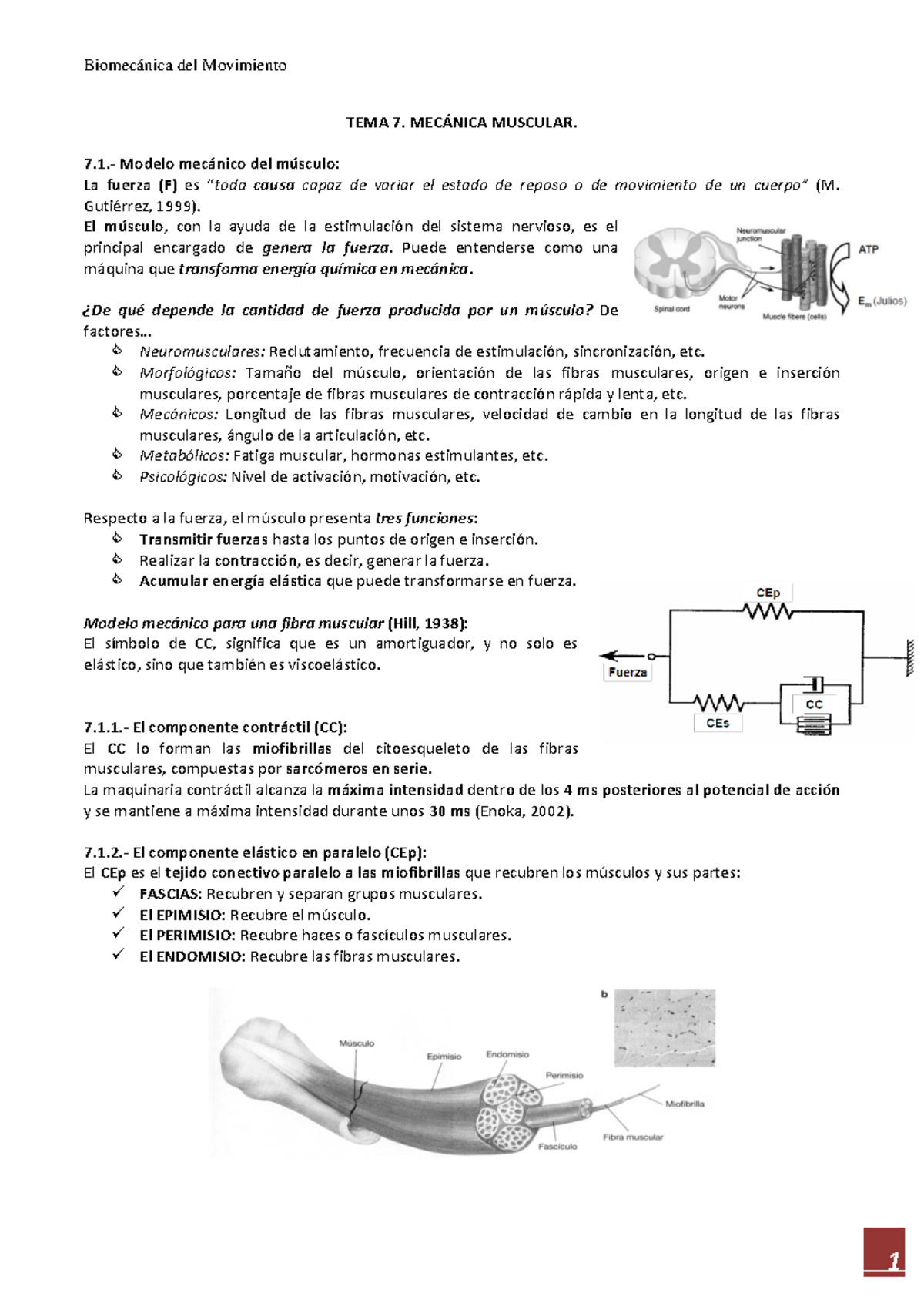 Tema 7: Mecánica Muscular y Fuerza en el Cuerpo Humano - Studocu