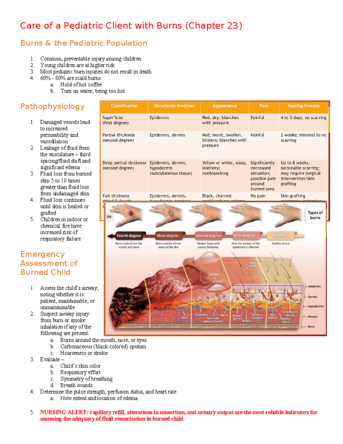 Pediatric Burn Care Notes - Chapter 23 Insights & Assessments - Studocu