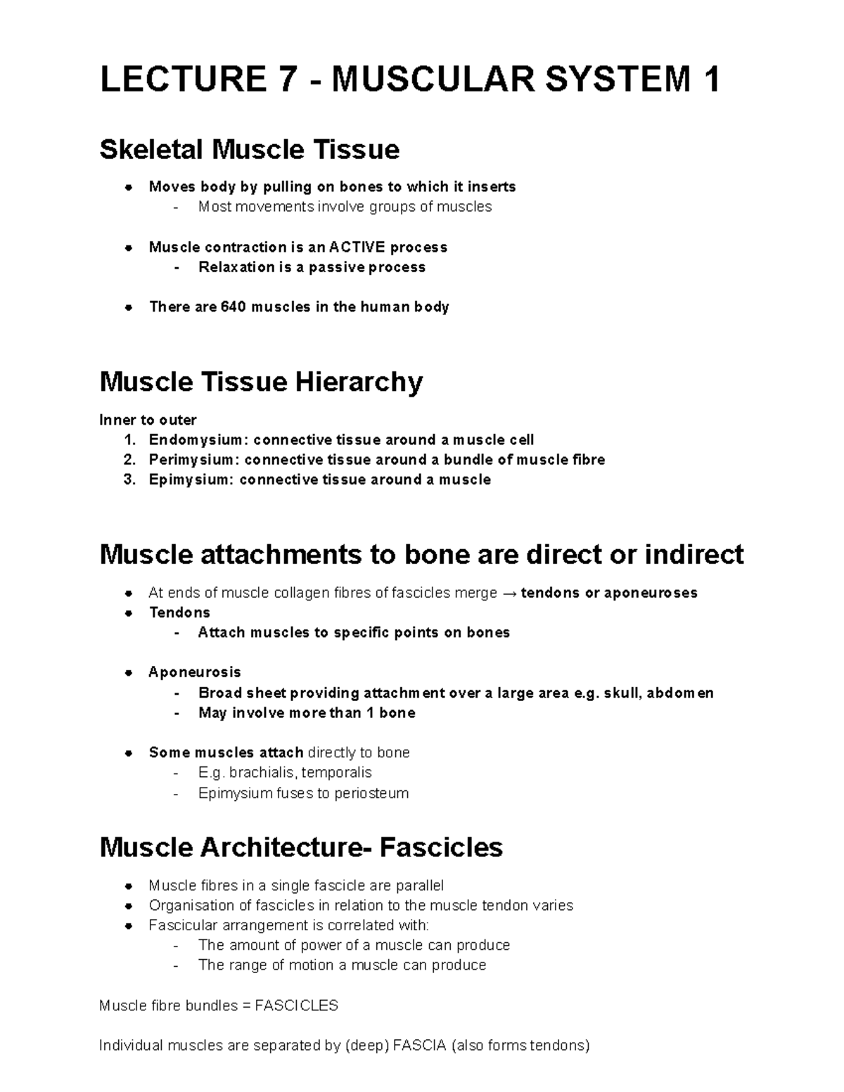 Lecture 7&8 — Muscular System Overview and Key Concepts - Studocu