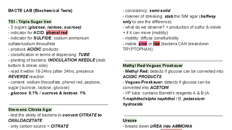 BACTE LAB: Biochemical Tests Overview and Procedures - Studocu