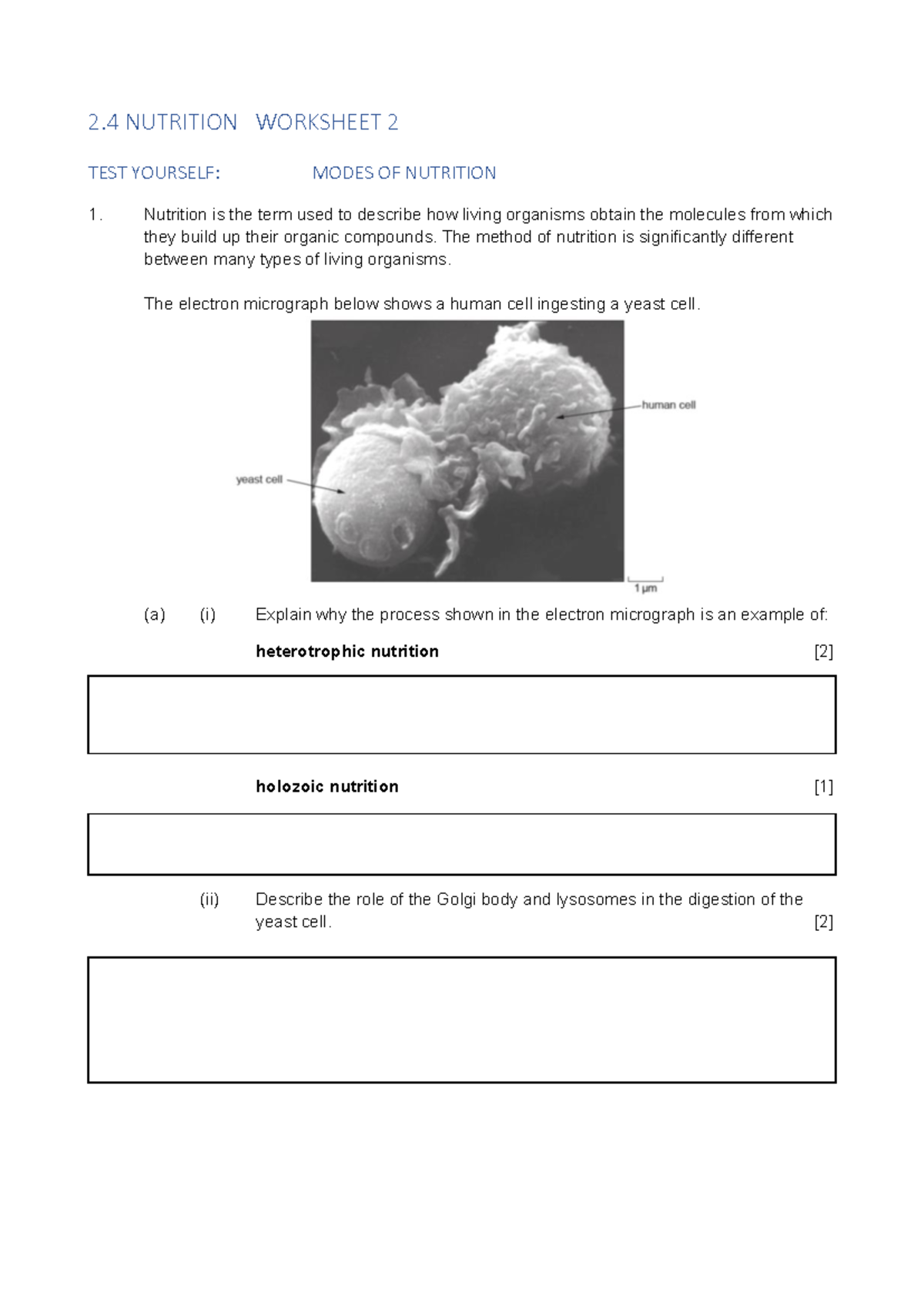 2.4 NUTRITION WORKSHEET 2: MODES OF NUTRITION EXPLAINED - Studeersnel