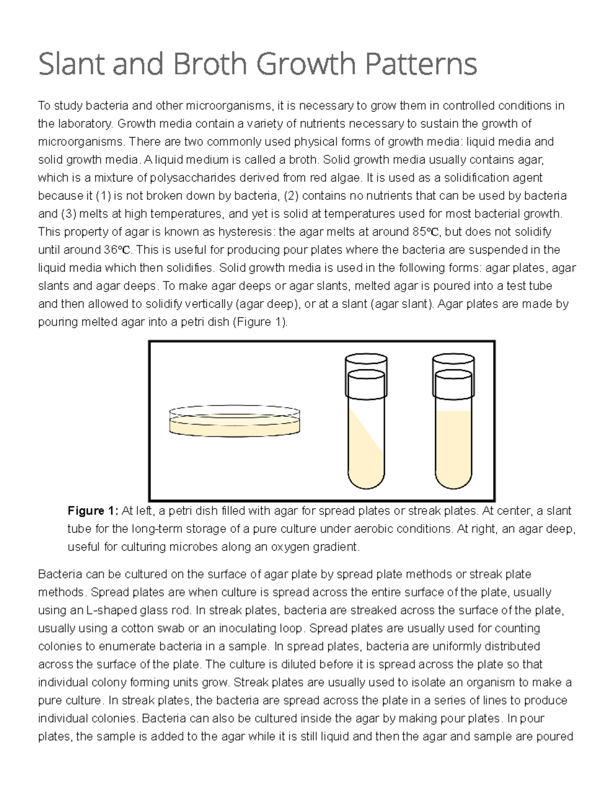 Slant and Broth Growth Patterns BIOZ-303-AOL-SP2023 - Microbiology ...