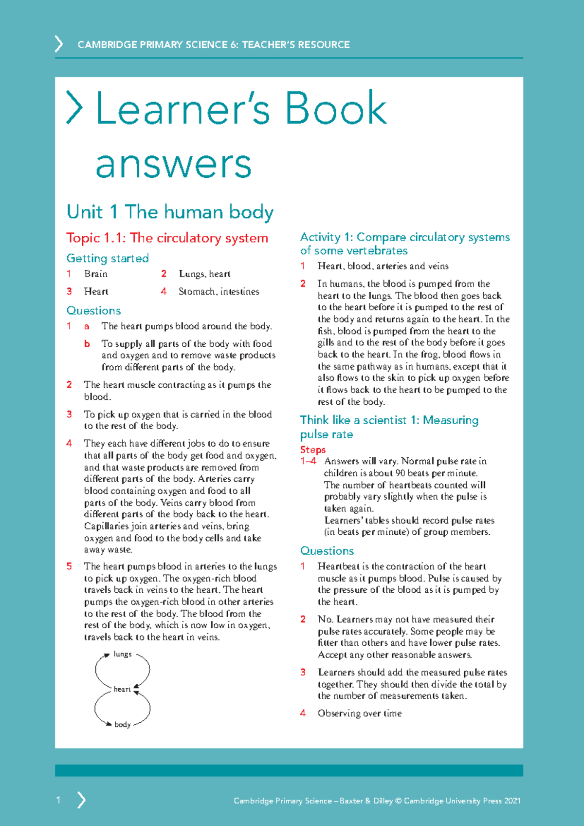 P Science 6 Learner's Book Answers: Circulatory & Respiratory Systems ...