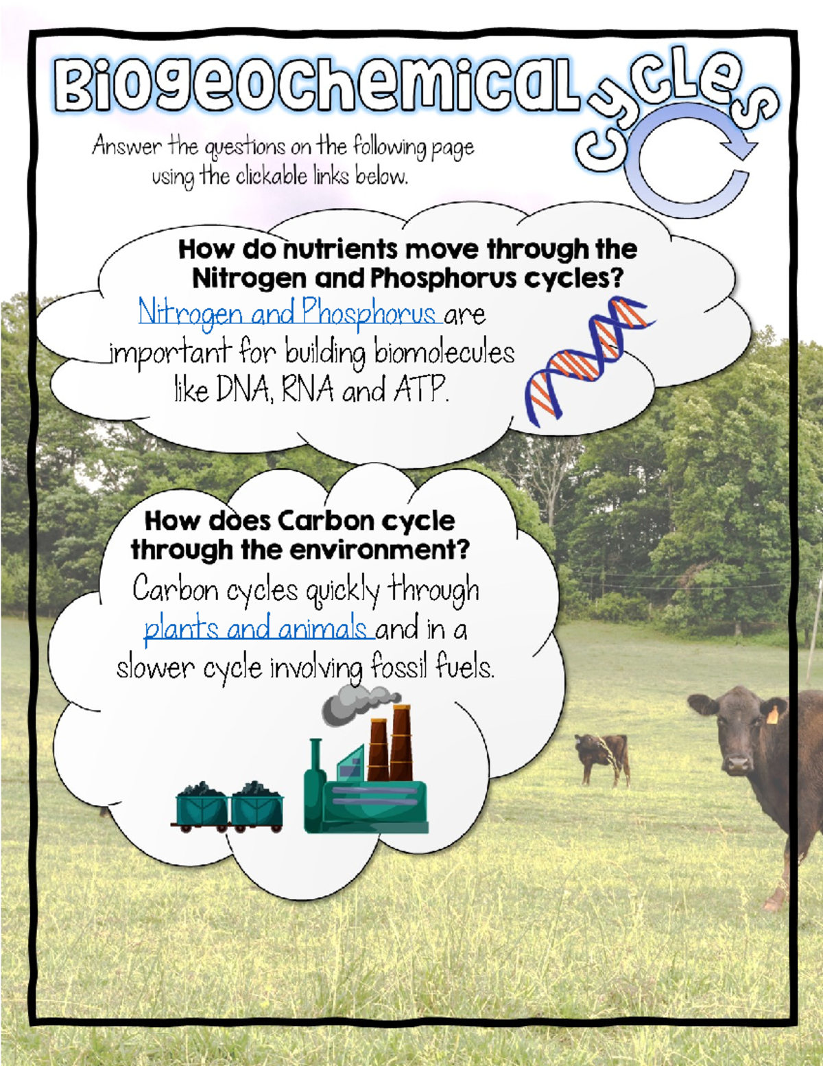 Biogeochemical Cycles Webquest - Nitrogen and Phosphorus are important ...