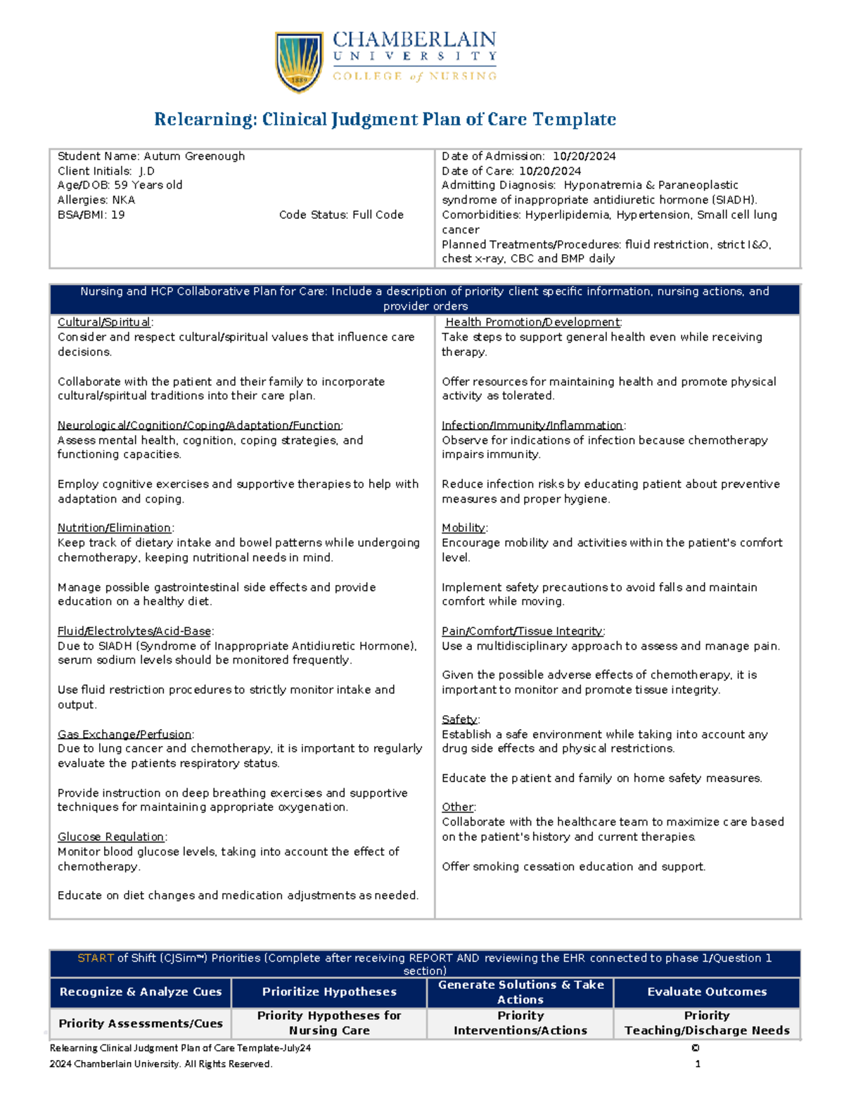 Relearning Clinical Judgment Plan of Care Template (CJSim™) - July 24 ...
