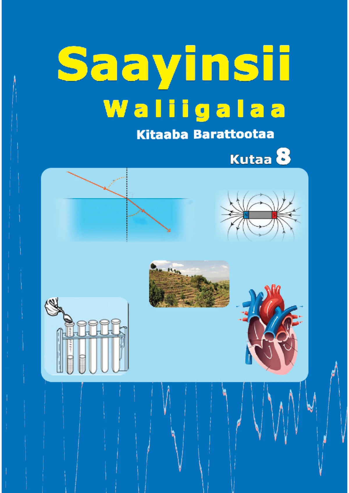 Lammummaa Kutaa 8: Qindeessummaa, Gaarummaa fi Dimookiraasii - Studocu