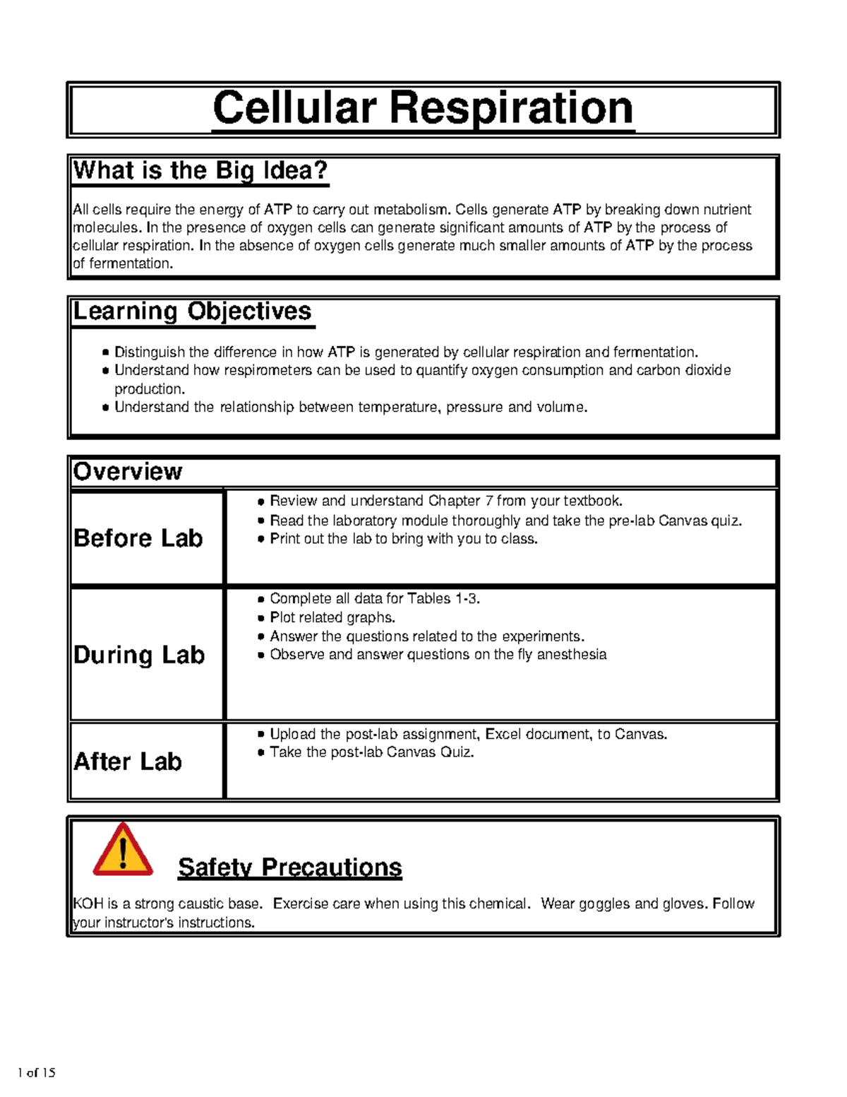 Biology Lab: Cellular Respiration & Fly Anesthesia Experiments (BIO101 ...