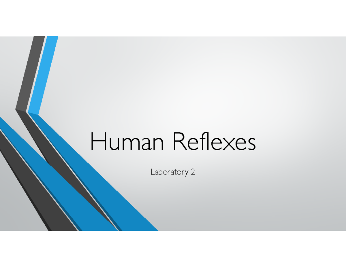 Human Reflexes Prelab - Human Reflexes Laboratory 2 Experiment Overview ...