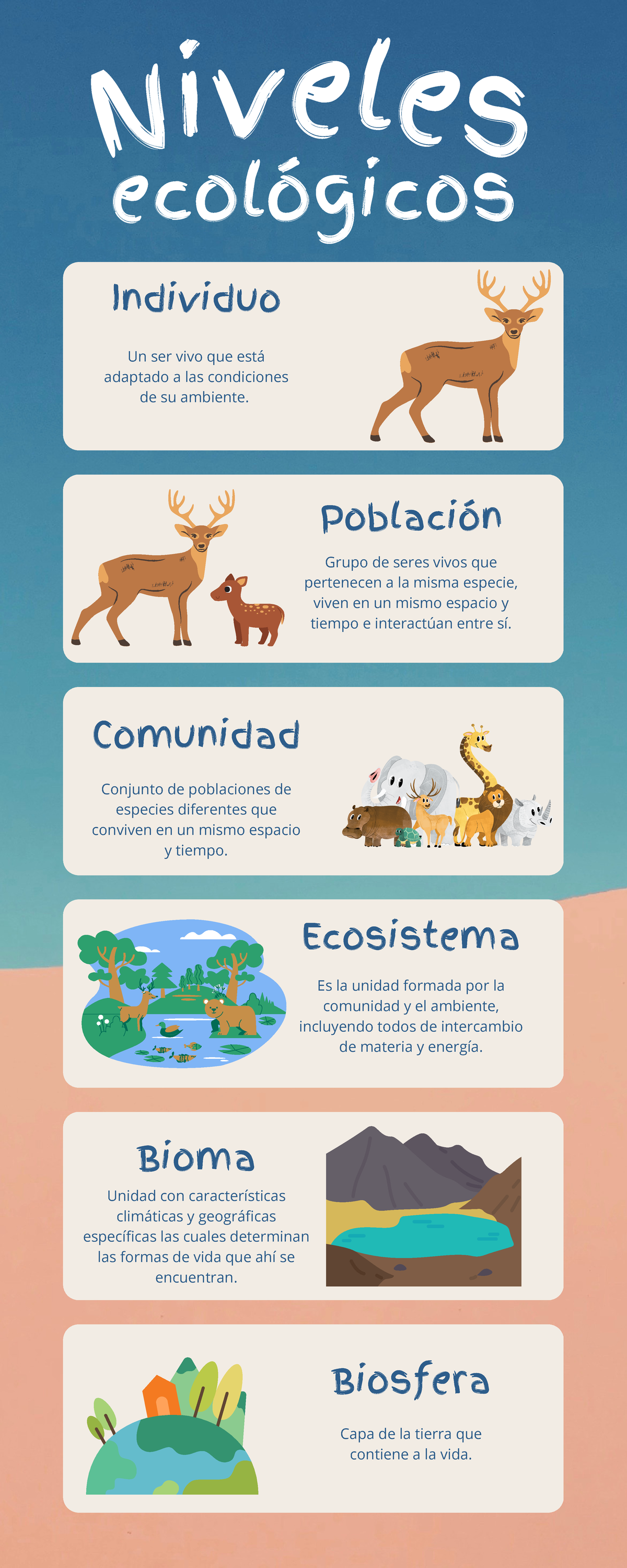 Infografía sobre Niveles Ecológicos: Población, Comunidad y Más - Studocu