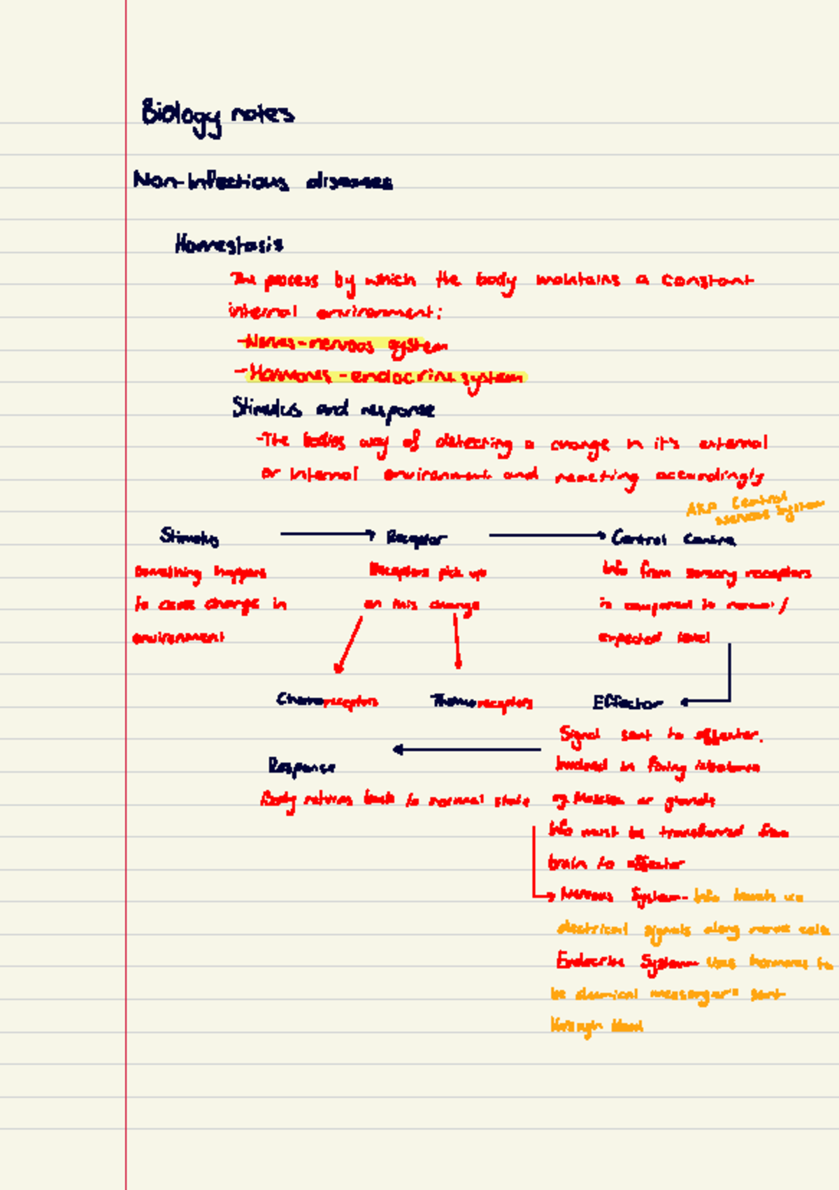Bio Revision - Gygyg - Biology notes Non-infectious diseases Homestasis ...