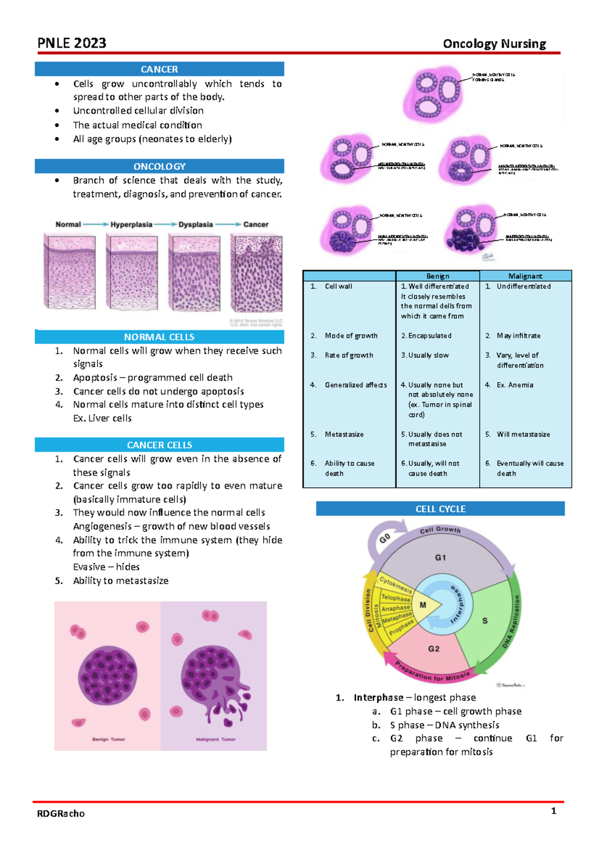 PNLE 2023 Oncology Nursing: Understanding Cancer Cell Dynamics - Studocu