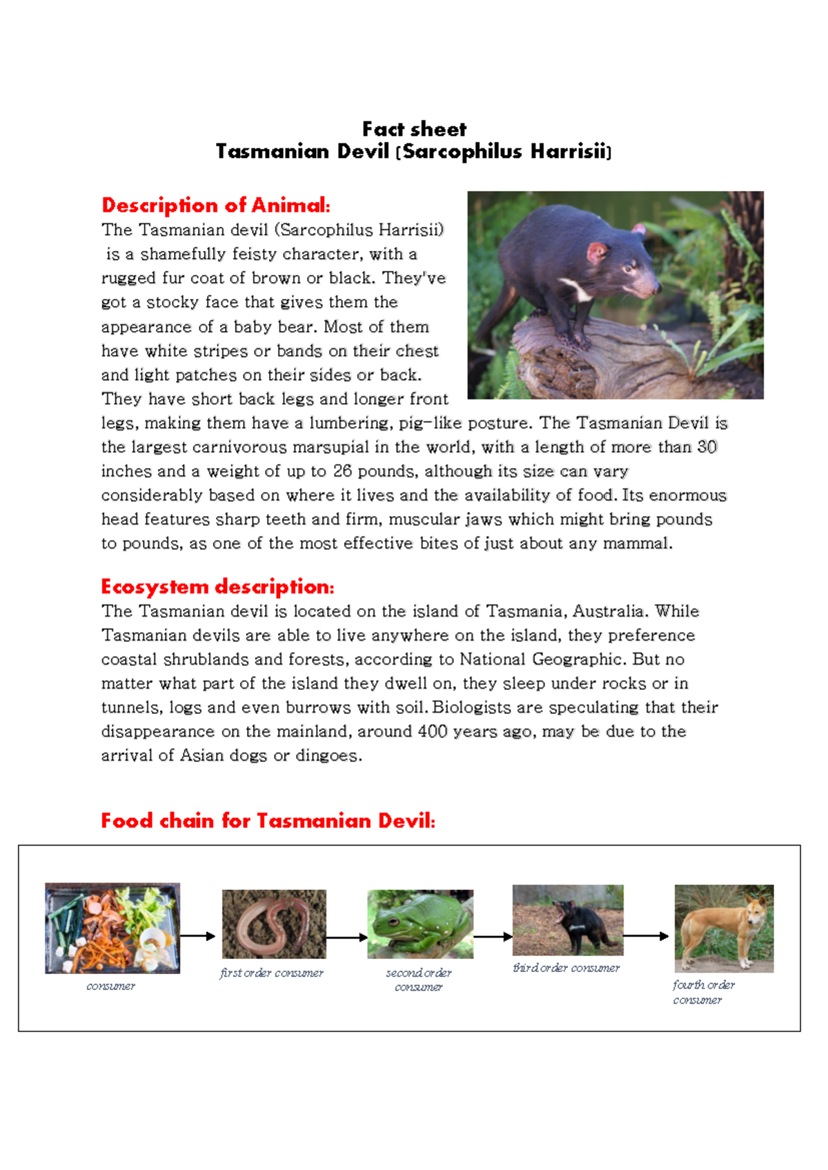 Science assignment - idk - Fact sheet Tasmanian Devil (Sarcophilus ...