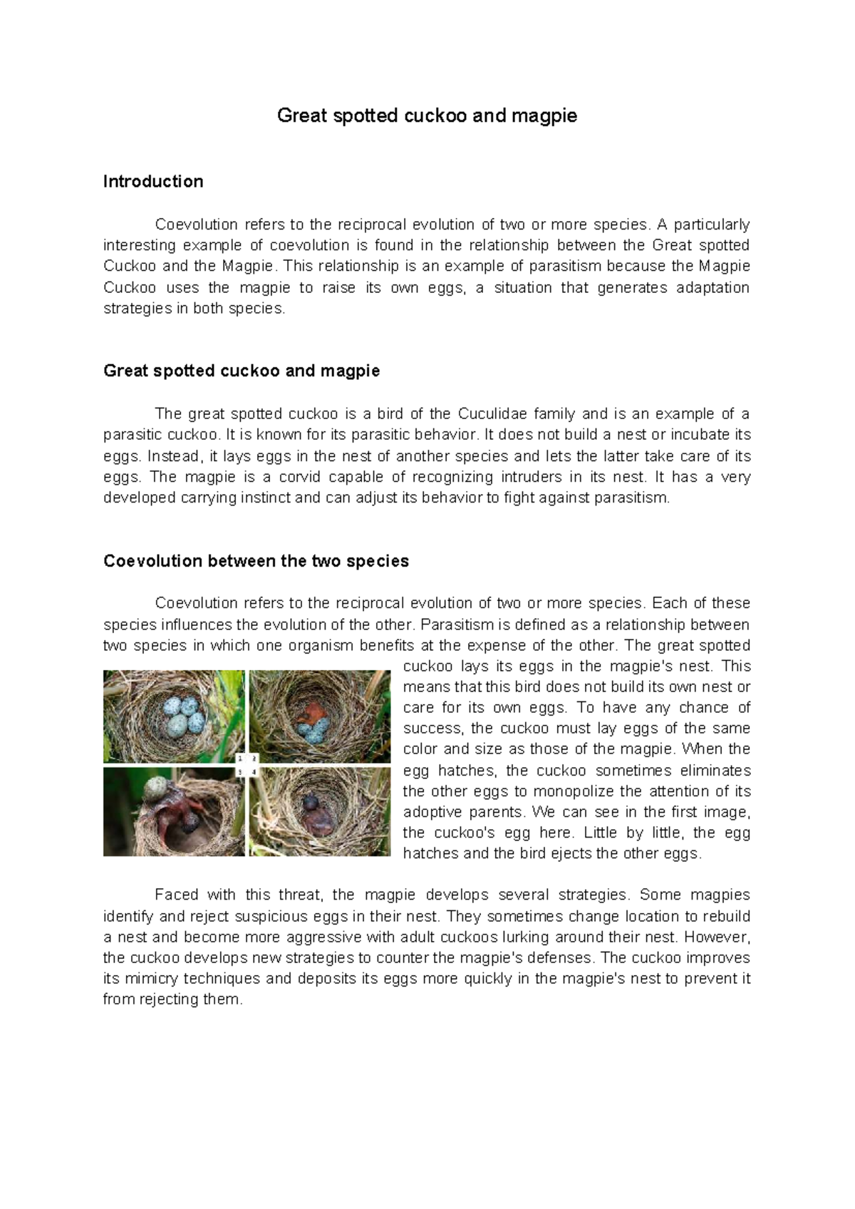 Coevolution of Great Spotted Cuckoo and Magpie: A Study on Parasitism ...