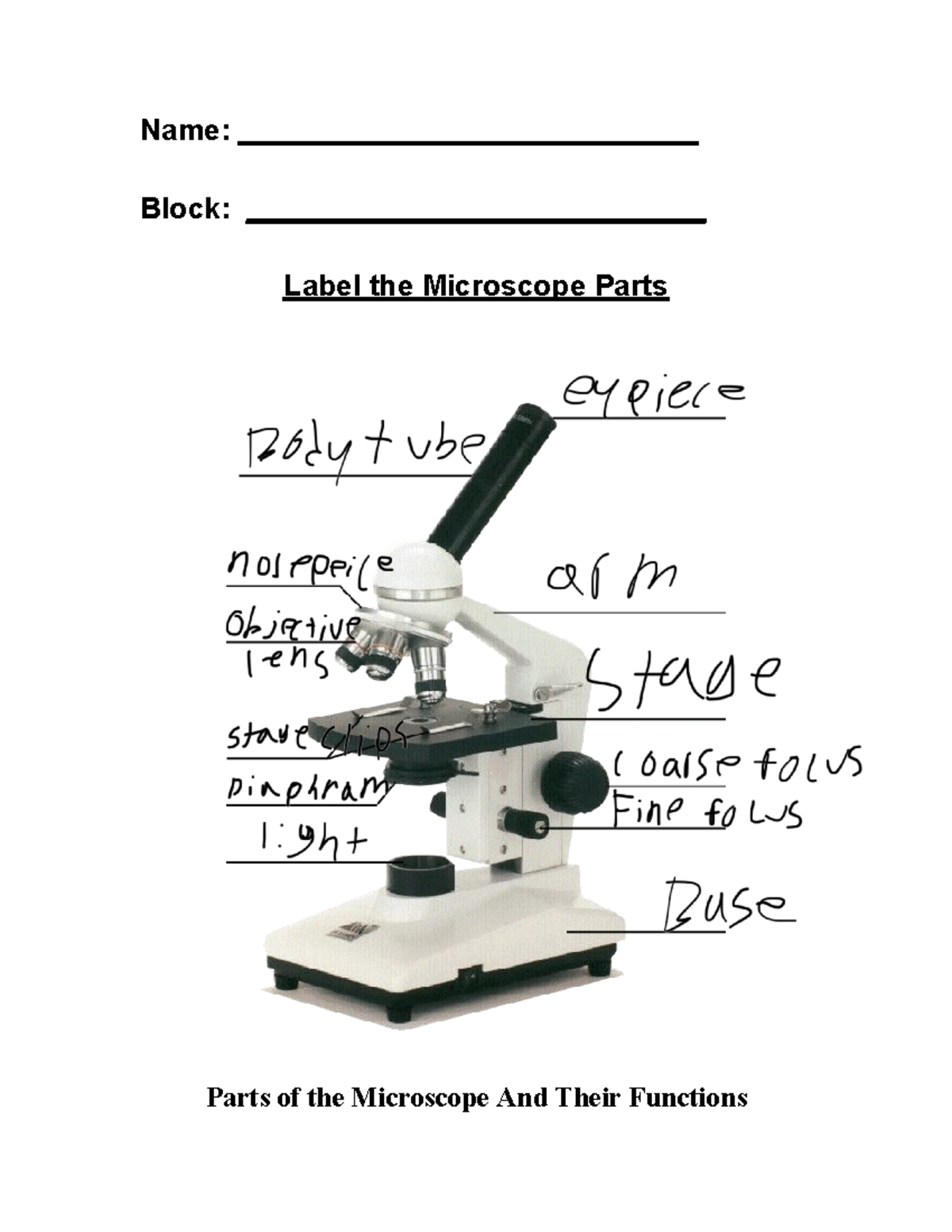 Microscope Parts and Functions: A Comprehensive Guide - Studocu