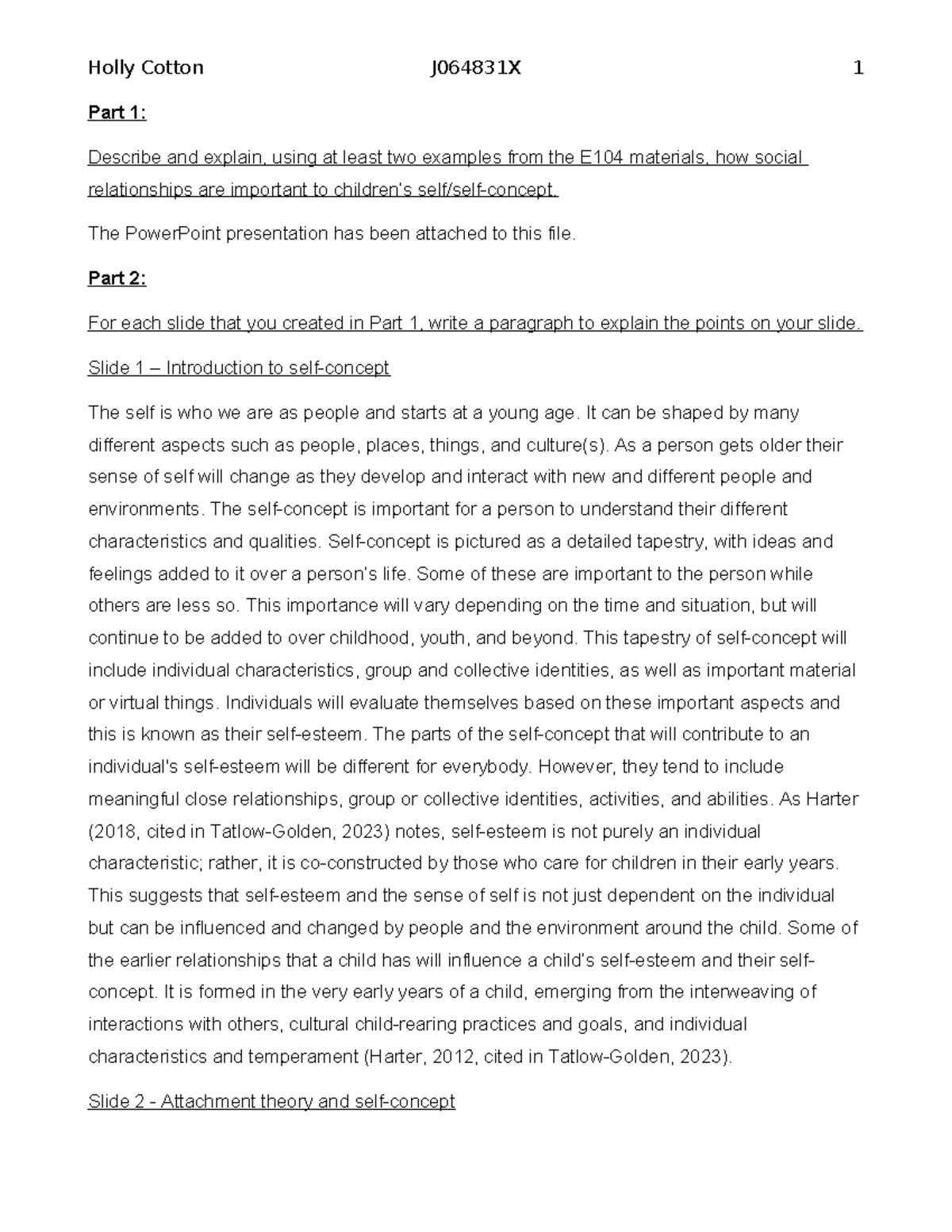 TMA02 - The importance of social relationships in self-development ...