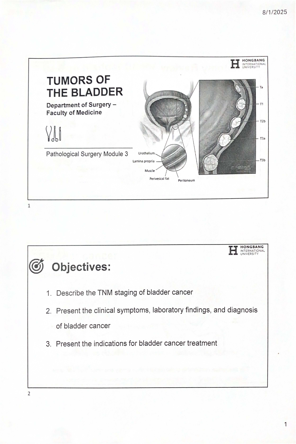 Tumors of the Bladder: A Comprehensive Study (H MED 101) - Studocu