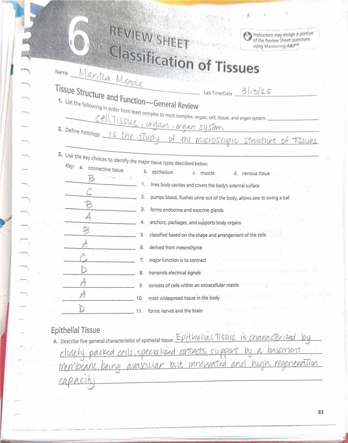 REVIEW SHEET: Exercise 6 - Classification of Tissues (REG I S.f) - Studocu