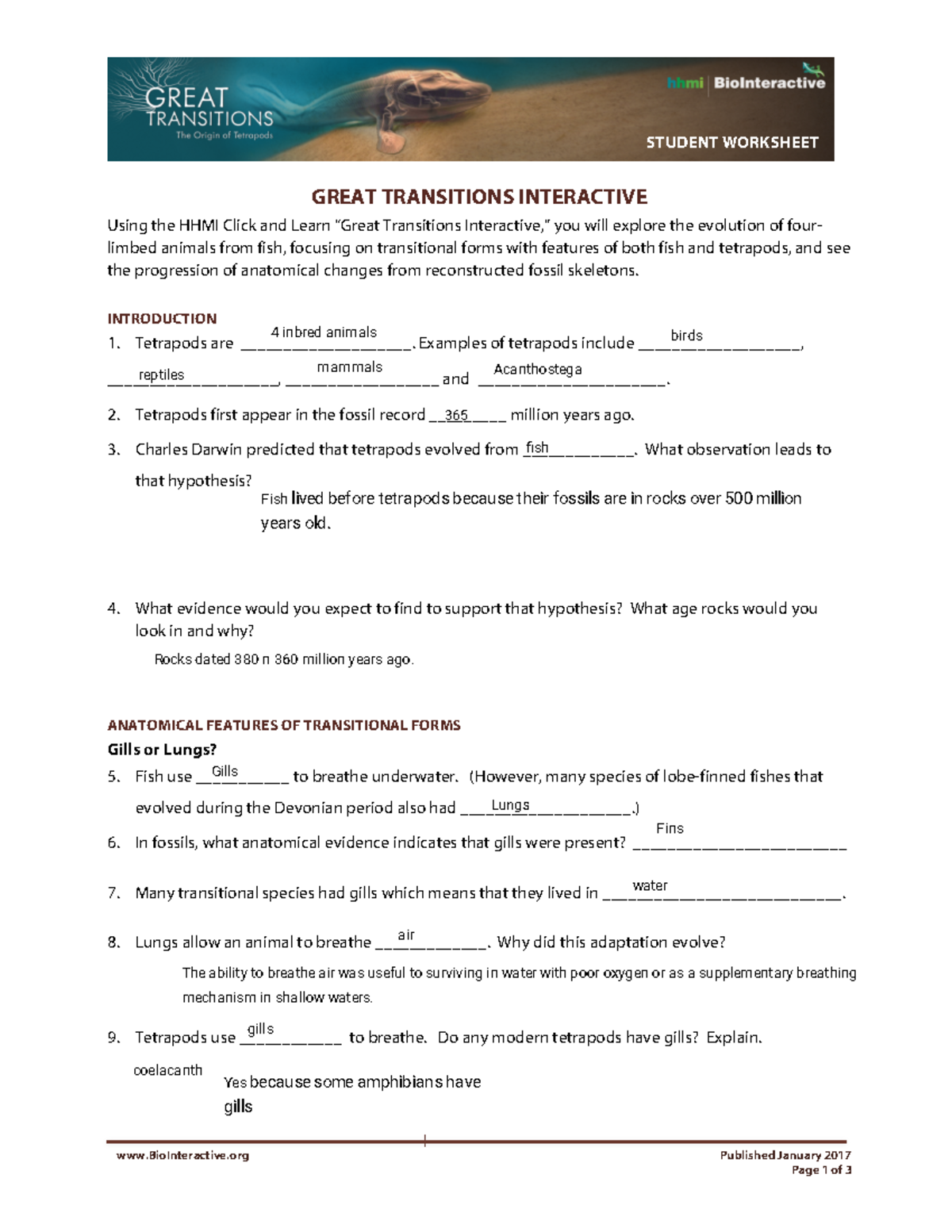 Tetrapod Evolution: Great Transitions Interactive Worksheet - Studocu