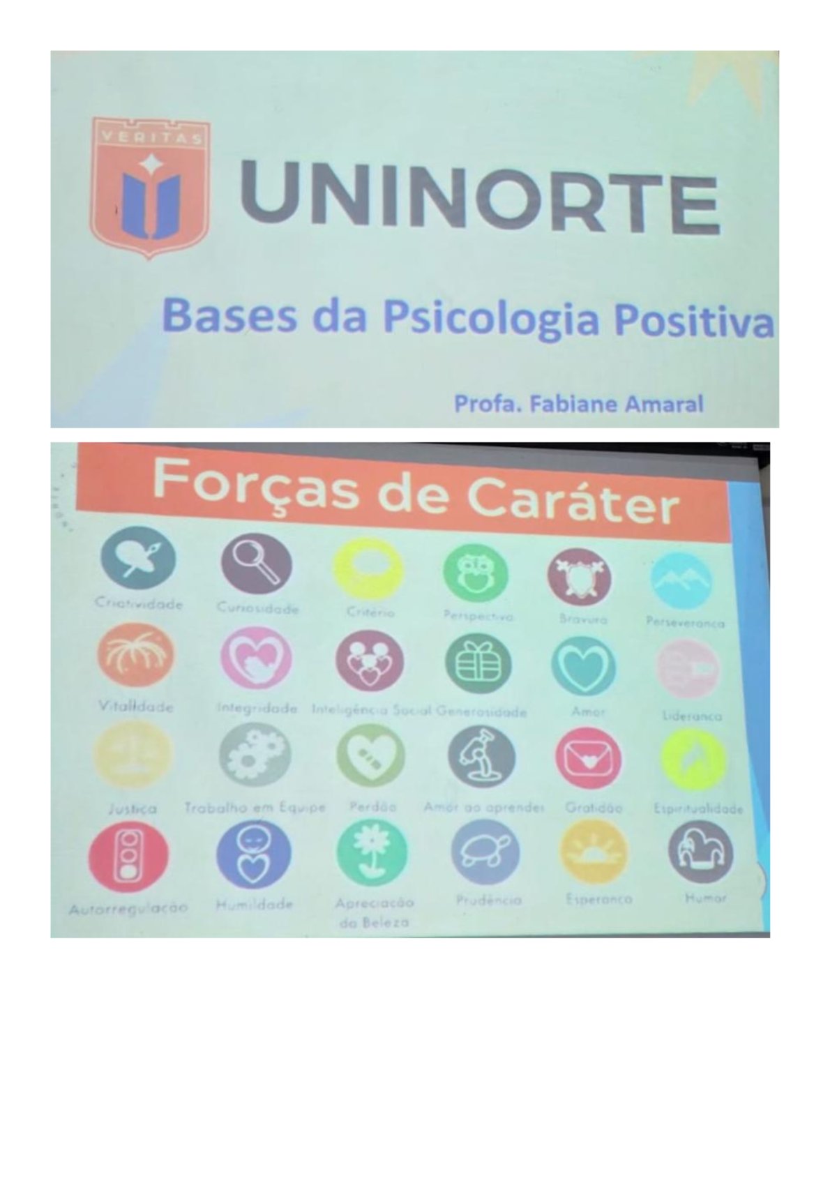 Slides de Psicologia Positiva: Intervenções e Práticas - Profa. Fabiane ...
