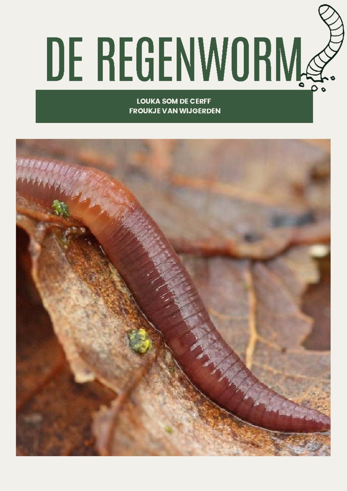 Kopie van Thema 1: Gedrag van de Regenworm (Lumbricus terrestris) - Studeersnel