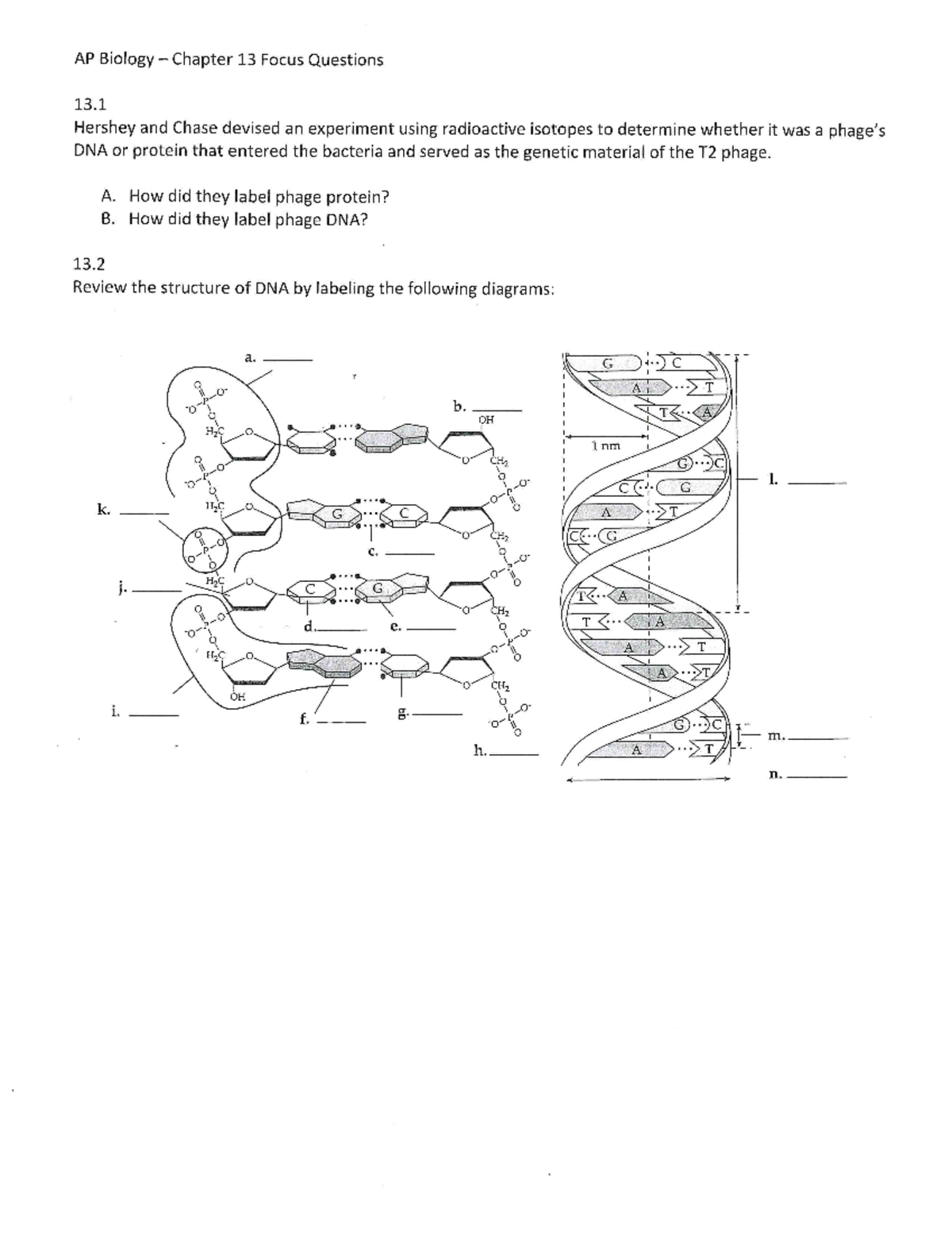 AP Bio Unit 6 Study Resources - AP Biology Chapter 13 Focus Questions ...