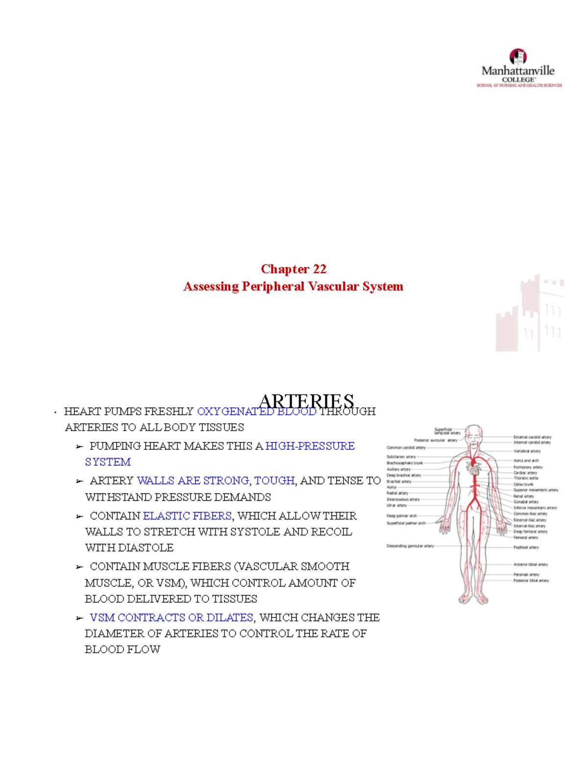 Chapter 22 HA - Peripheral Vascular System Overview and Assessment ...