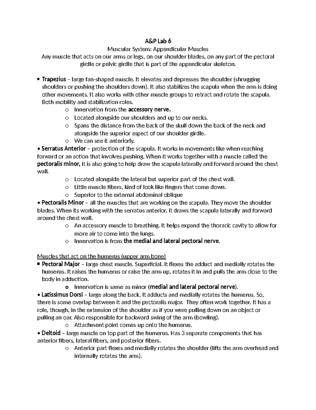 A&P Lab 6 - Muscular System: Appendicular Muscles Overview - Studocu