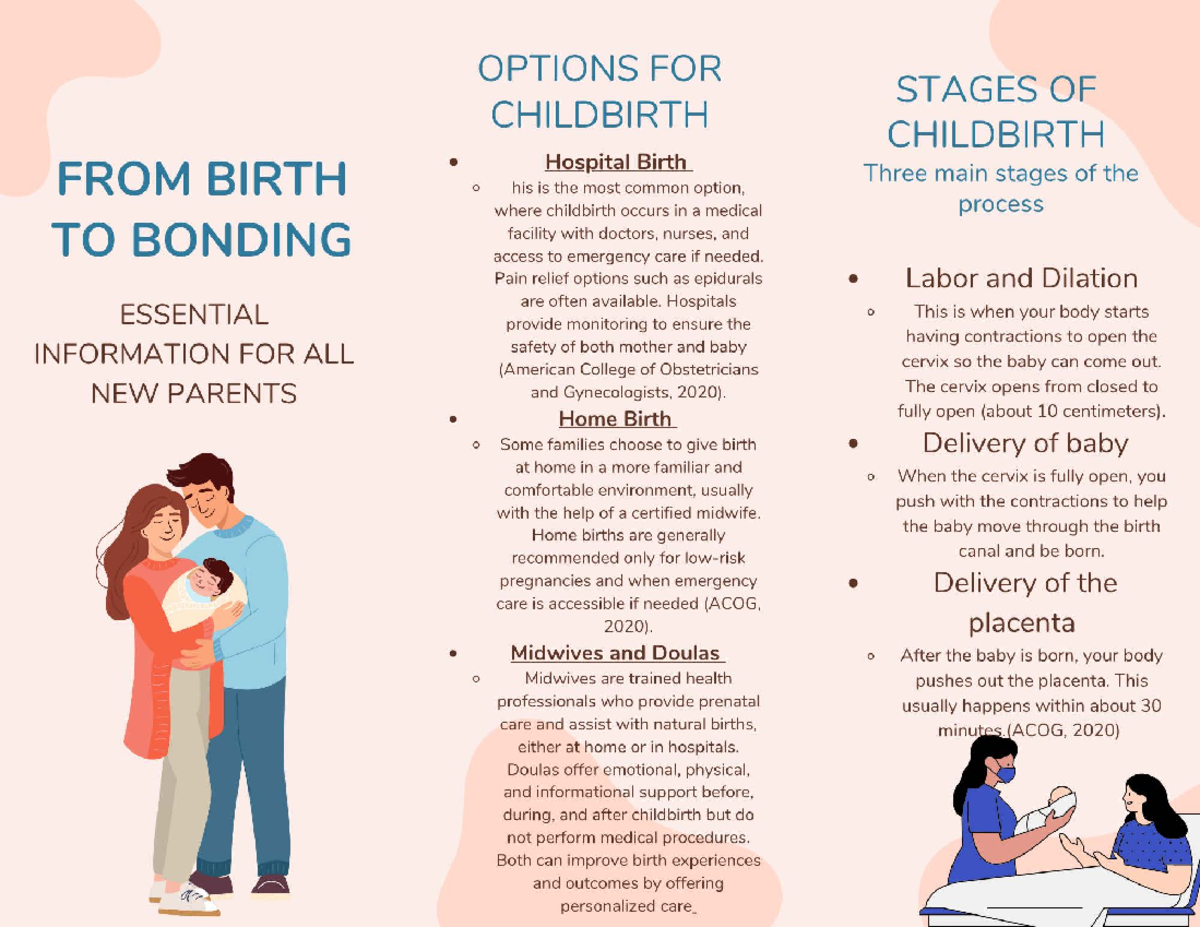 OPTIONS FOR STAGES OF CHILDBIRTH: ESSENTIAL INFO FOR NEW PARENTS - Studocu