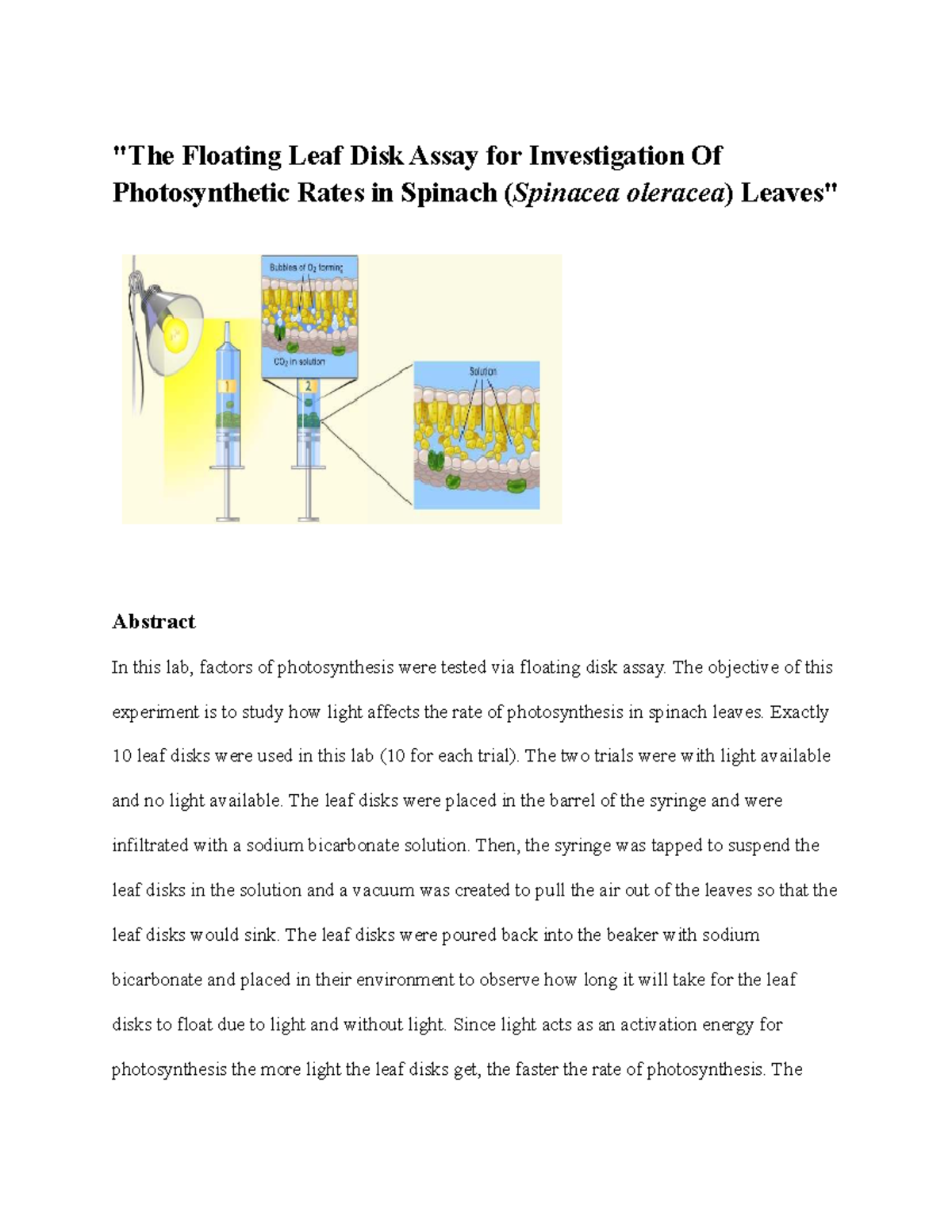 The Rate of Photosynthesis in Spinach Leaves Lab - "The Floating Leaf ...