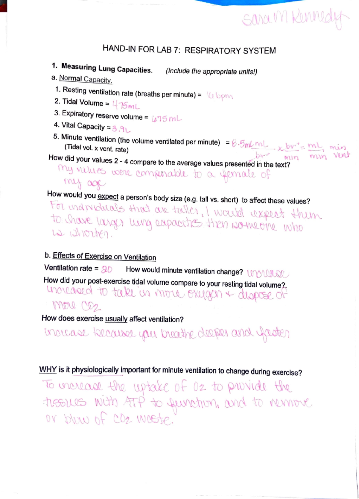 Lab 7: Respiratory System - Measuring Lung Capacities and Control of ...