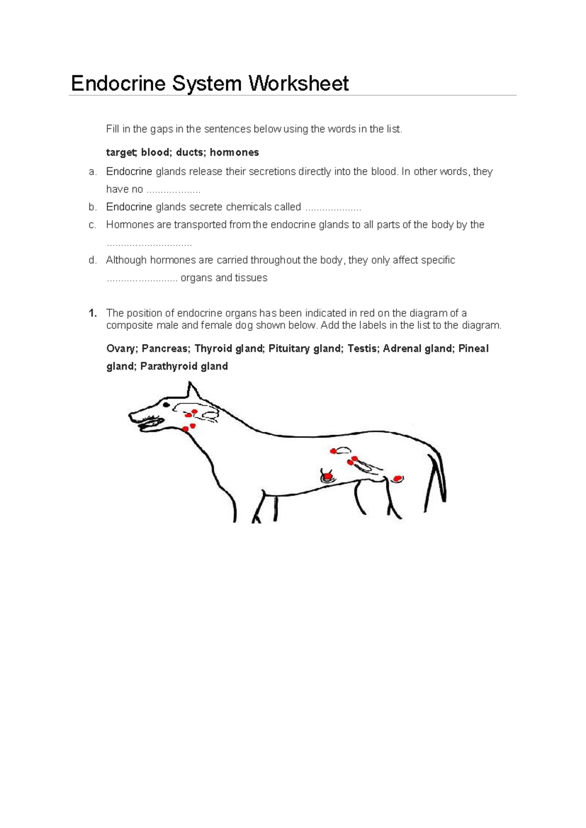 03-Endocrine System Worksheet: Gaps, Diagrams & Hormone Functions - Studocu